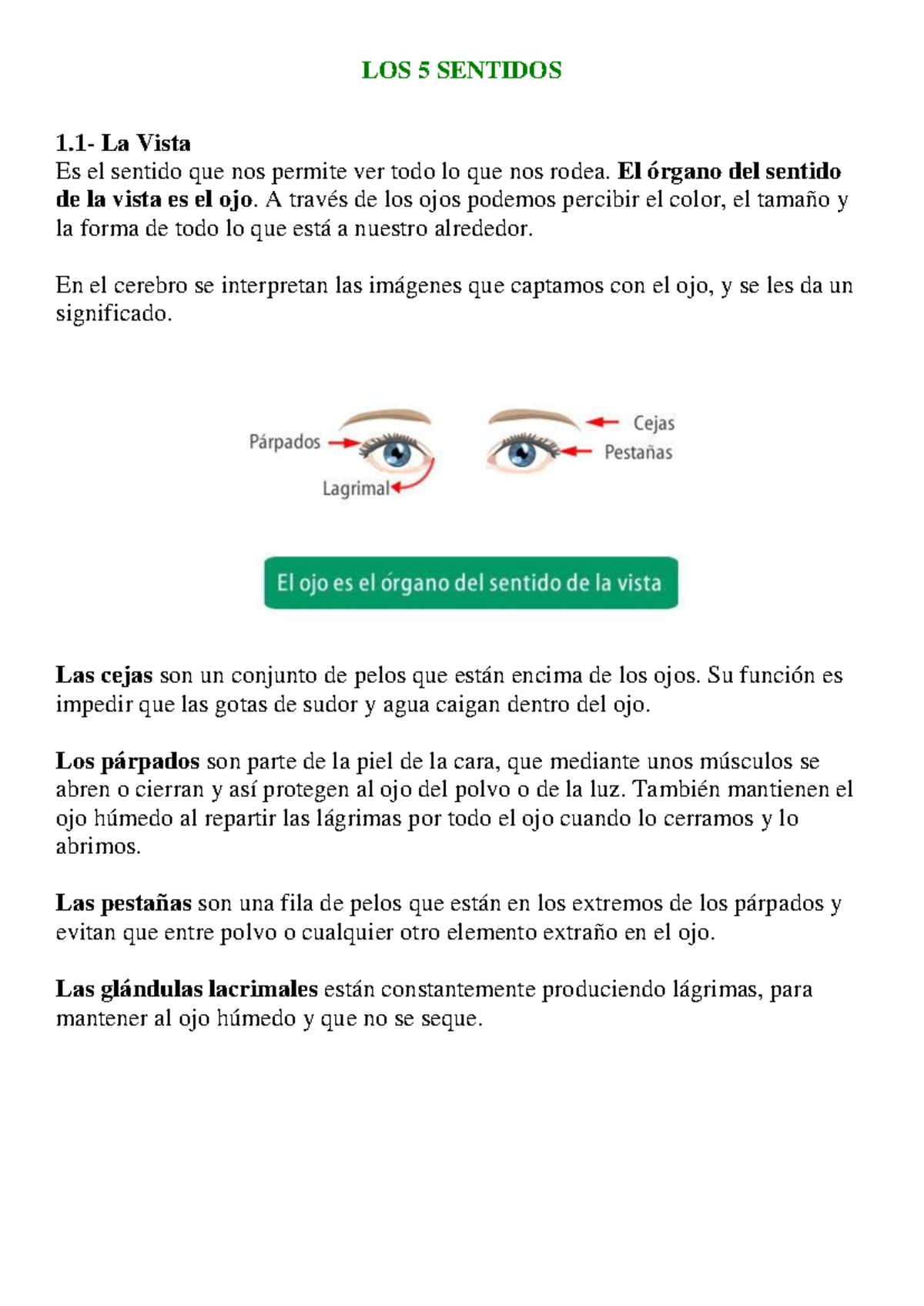 Los-5-sentidos - soy estudiante de investigacion - LOS 5 SENTIDOS 1- La ...