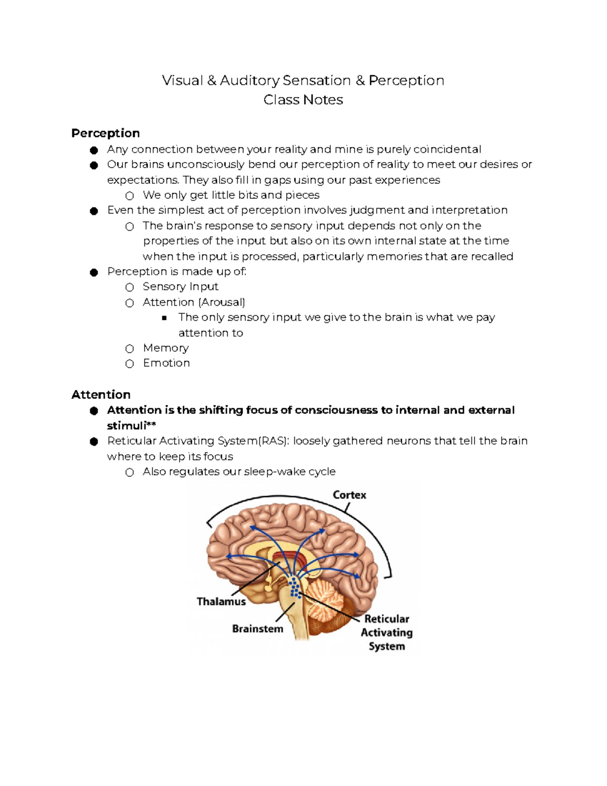 Visual and Auditory Sensation and Perception Notes - Visual & Auditory ...