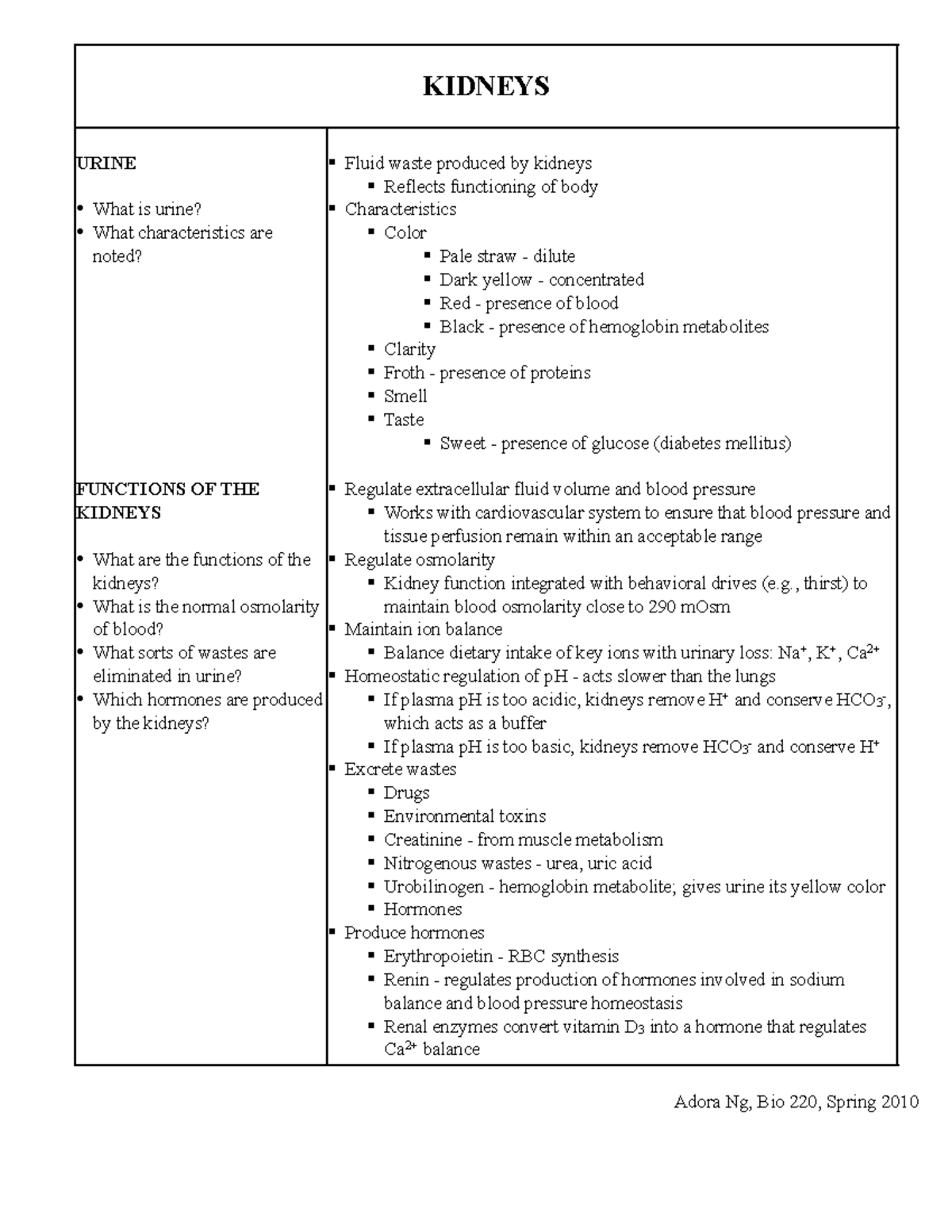 Notes - Ch 19 - kidneys - KIDNEYS URINE ! What is urine? ! What ...