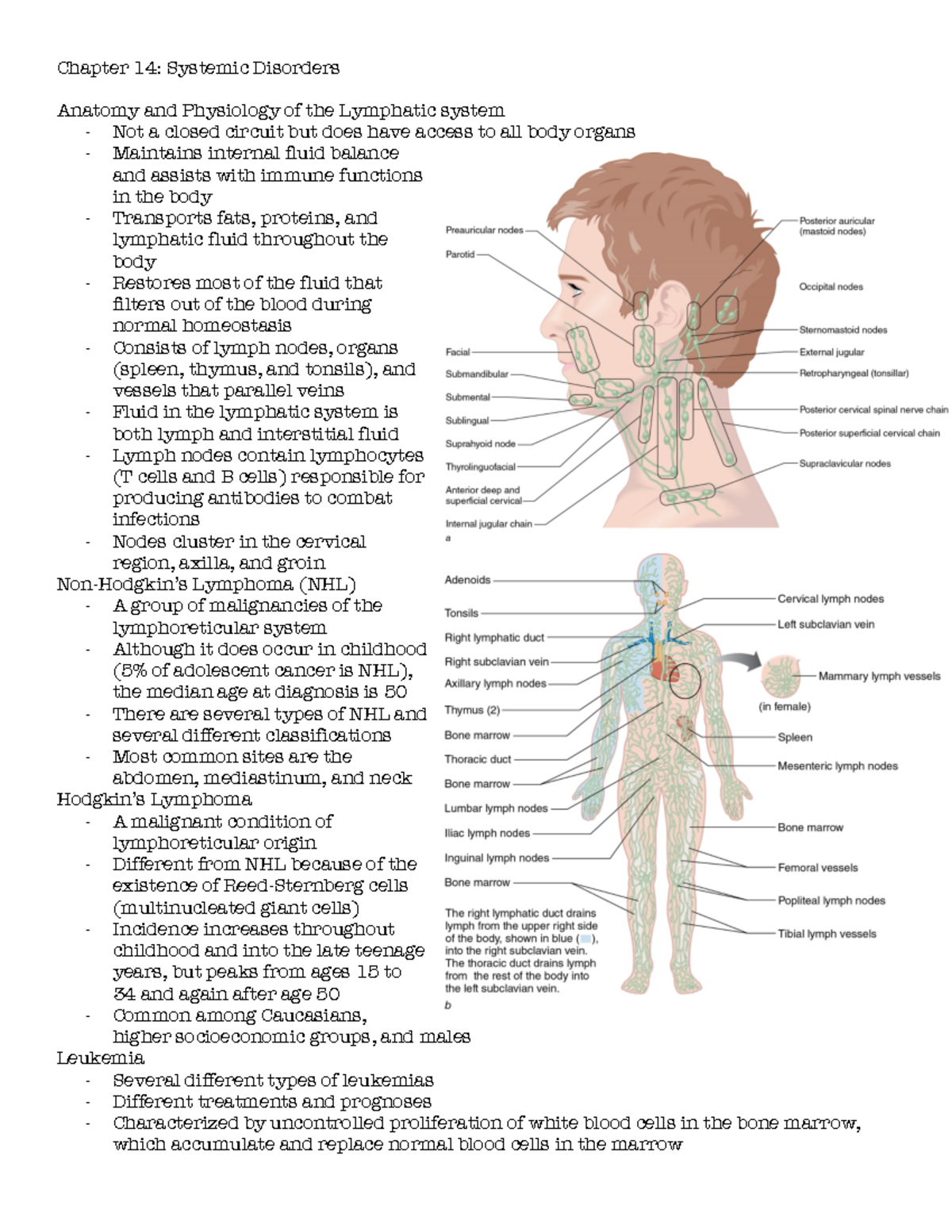 Chapter 14 - Systemic disorders! Anatomy and description of each ...