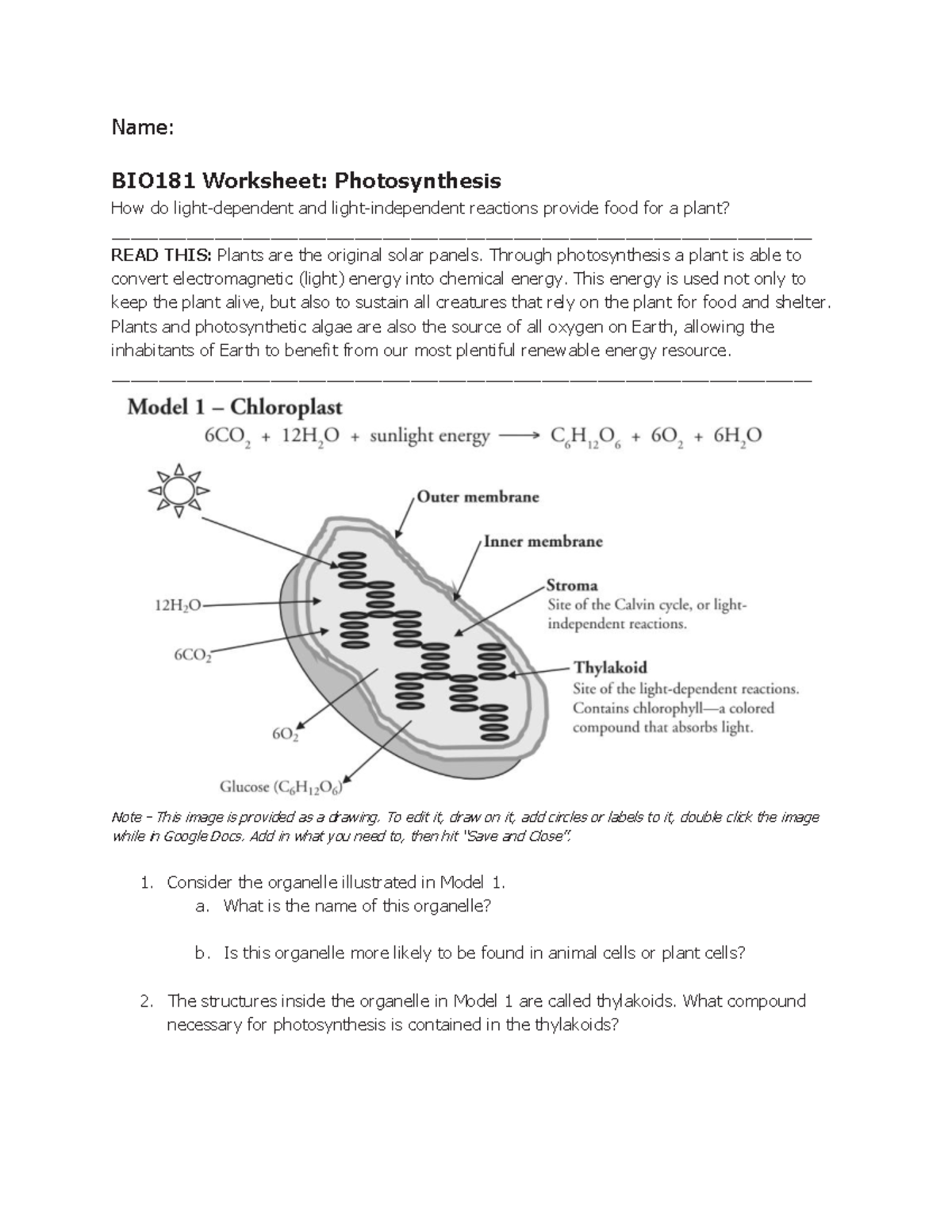 BIO181 Photosynthesis Worksheet - Name: BIO181 Worksheet ...