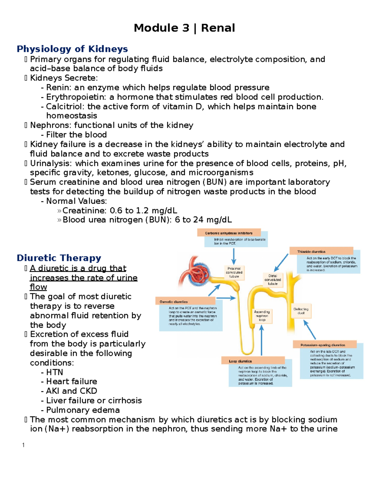 Module 3- Renal Copy - Module 3 | Renal Physiology of Kidneys Primary ...
