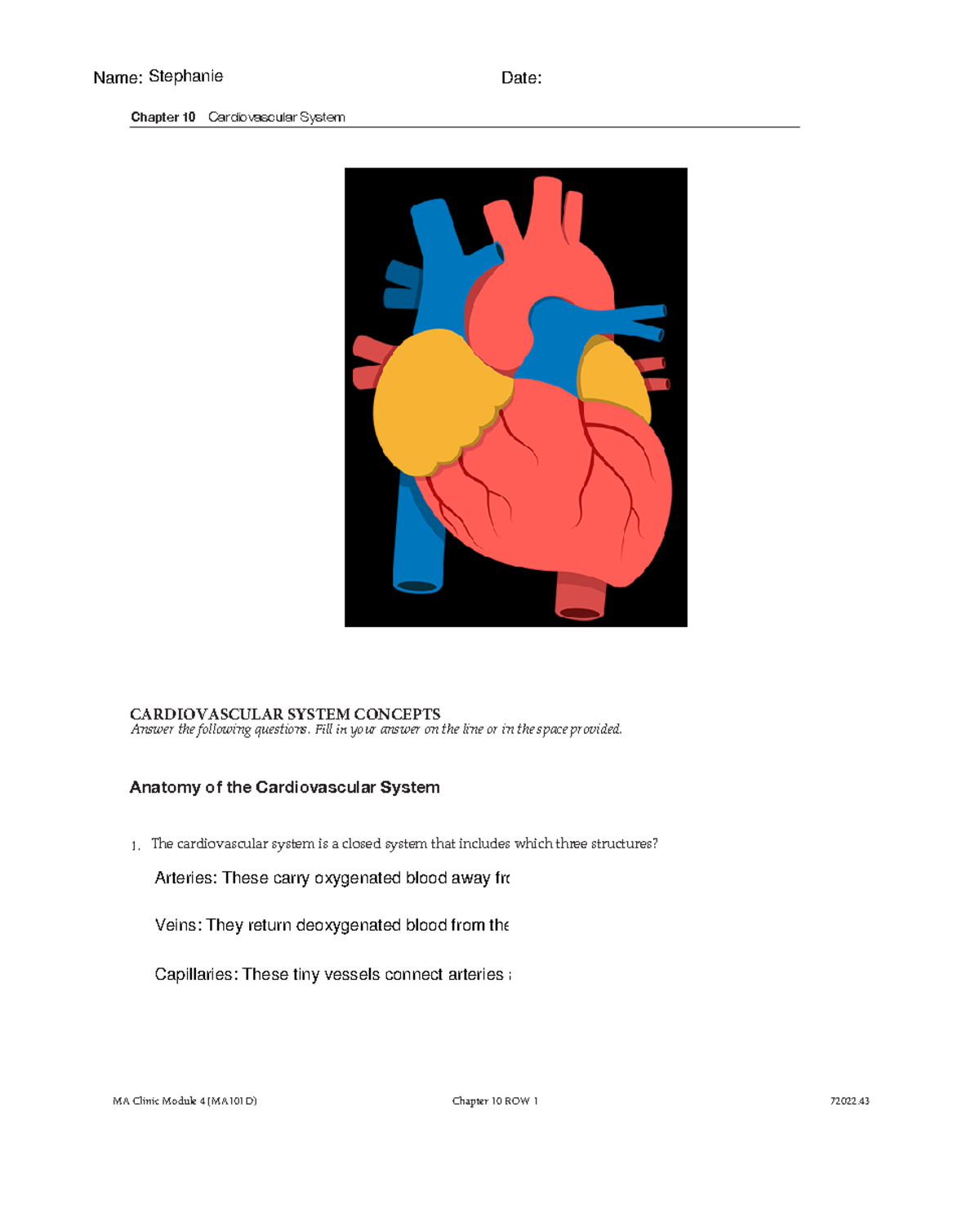 MA101 D ROW 1 Chapter 10 - Cardiopulmonary assessment - CARDIOVASCULAR ...