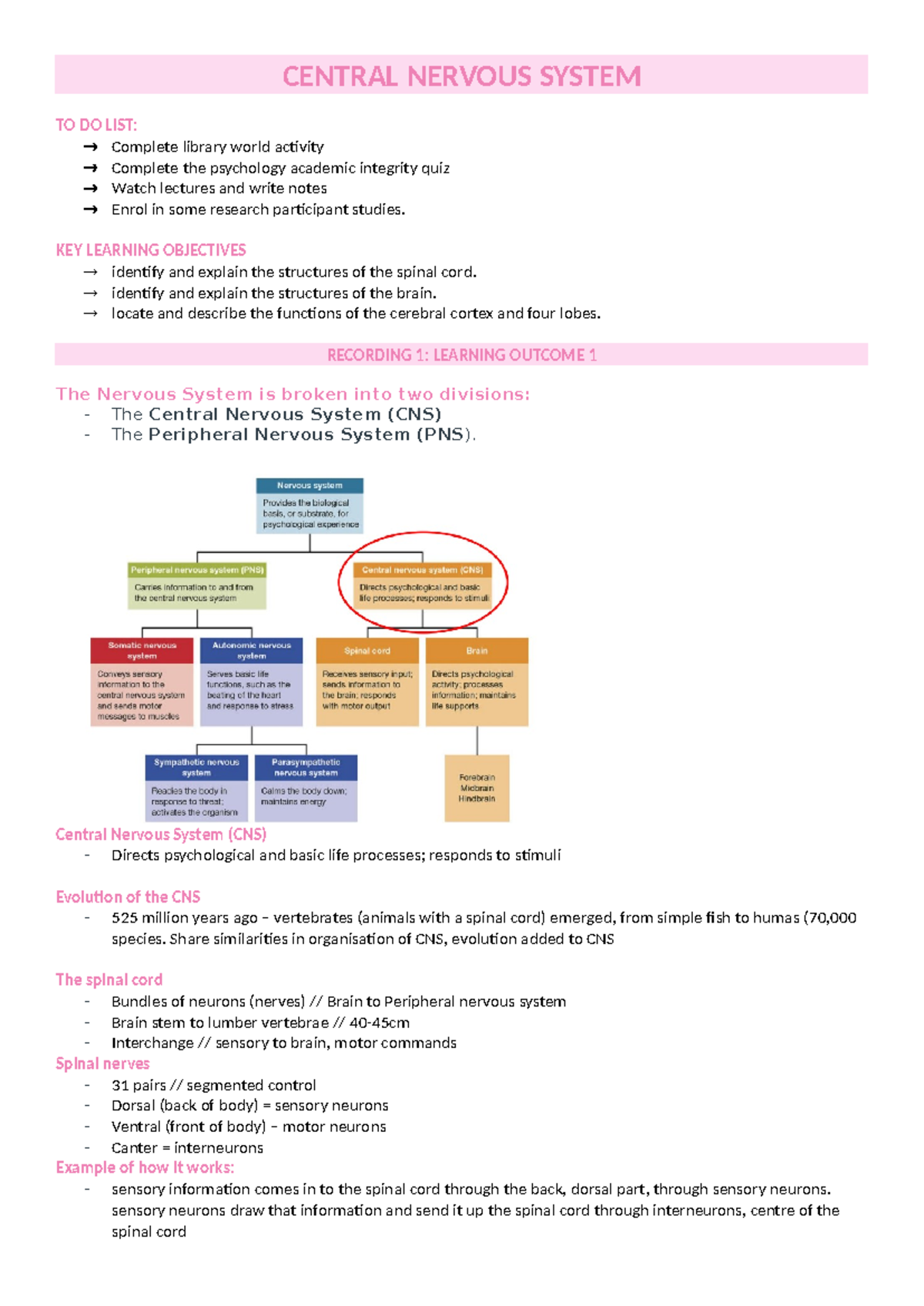 Module 3 lecture notes - CENTRAL NERVOUS SYSTEM TO DO LIST: Complete ...