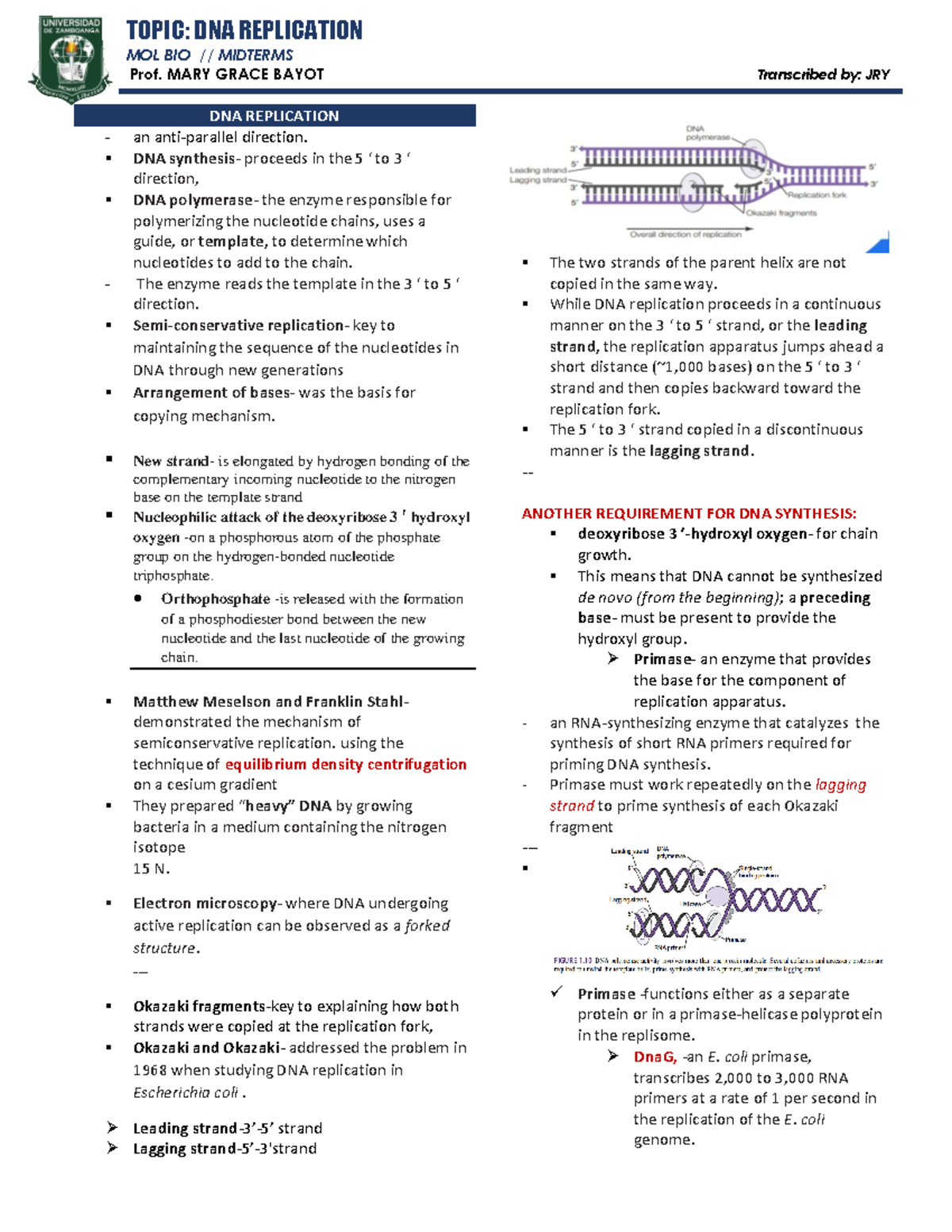 DNA Replication ( Outline- Molbio Midterm) - MOL BIO // MIDTERMS Prof ...