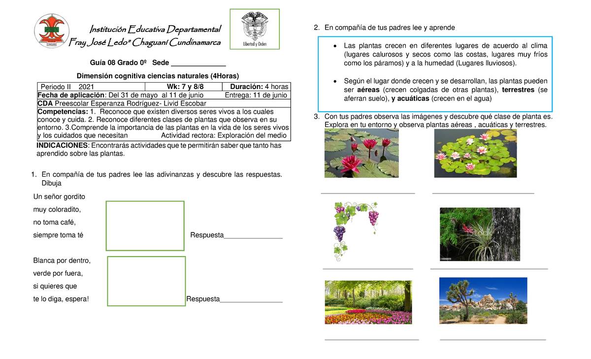 Guía 8 grado 0° D. Cognitiva Ciencias Naturales 2021 - Institución ...