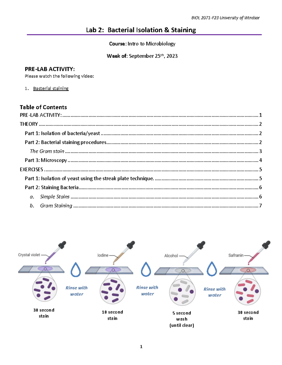 F23 Lab 2 Isolation of Pure culture and Bacterial Staining DB edits ...