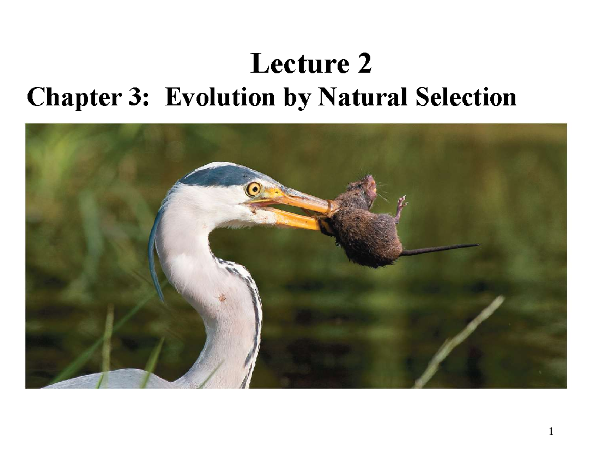 Lecture 2 - Natural Selection - 1 Lecture 2 Chapter 3: Evolution by ...