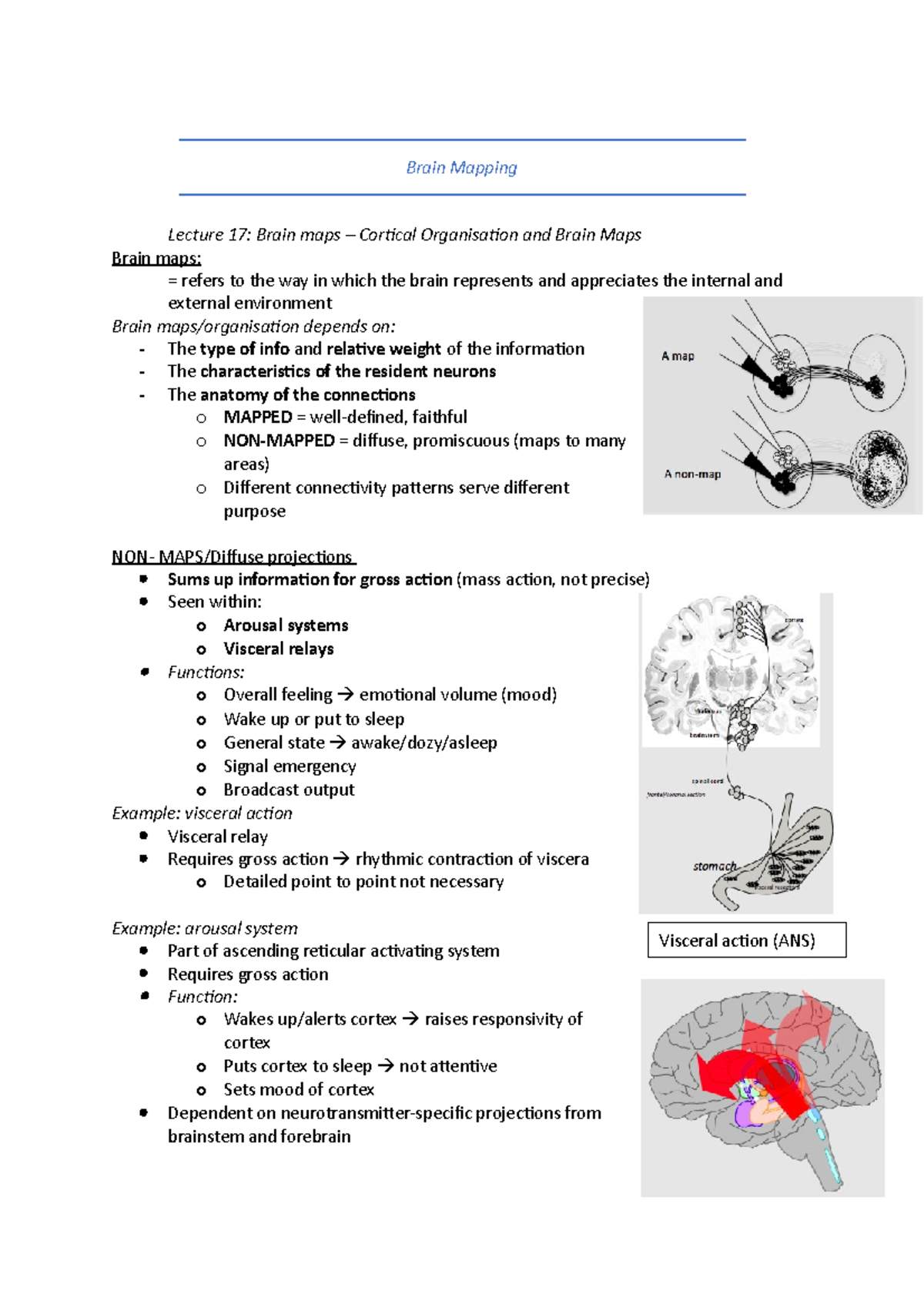 HD Brain Mapping notes - Brain Mapping Lecture 17: Brain maps ...