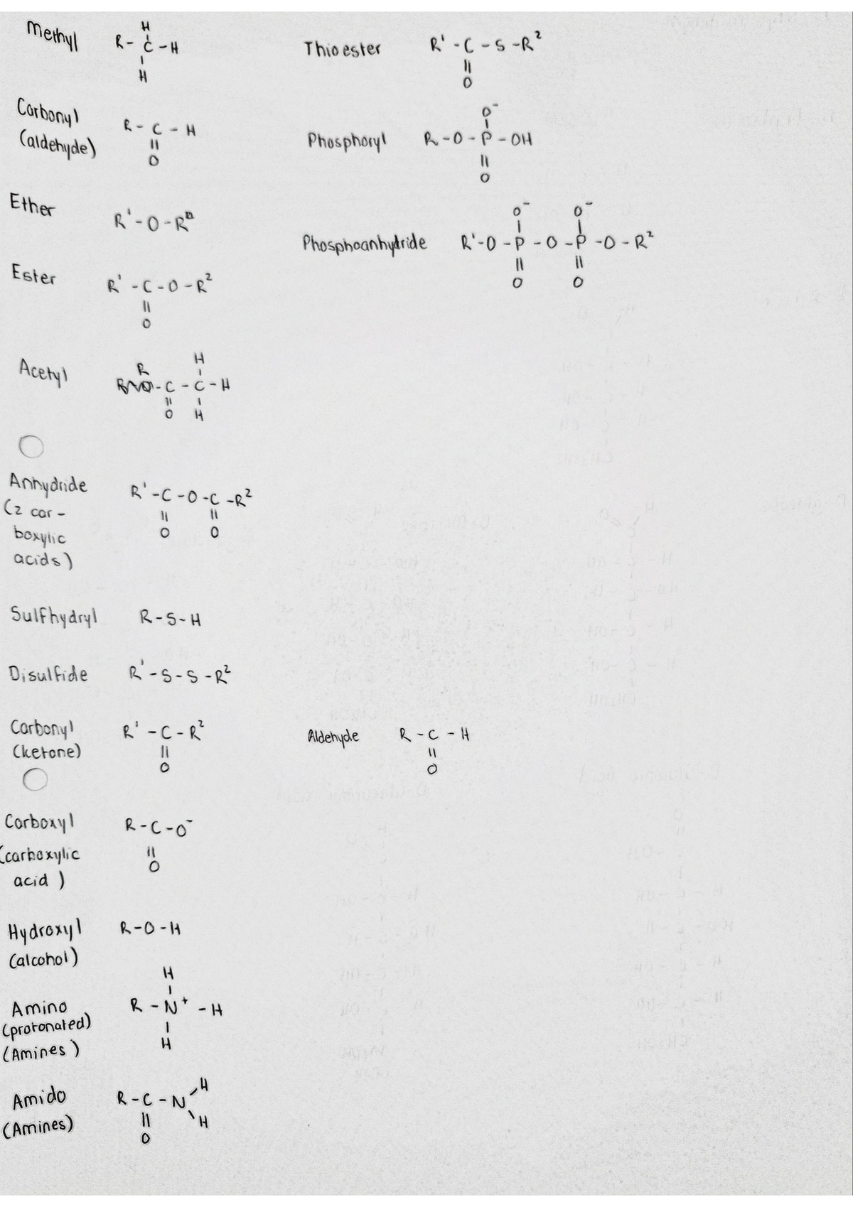 Biochemistry Common Functional Groups - methyl H R- C-H Thioester R'-C ... Biochemistry Common Functional Groups - methyl H R- C-H Thioester R'-C ...