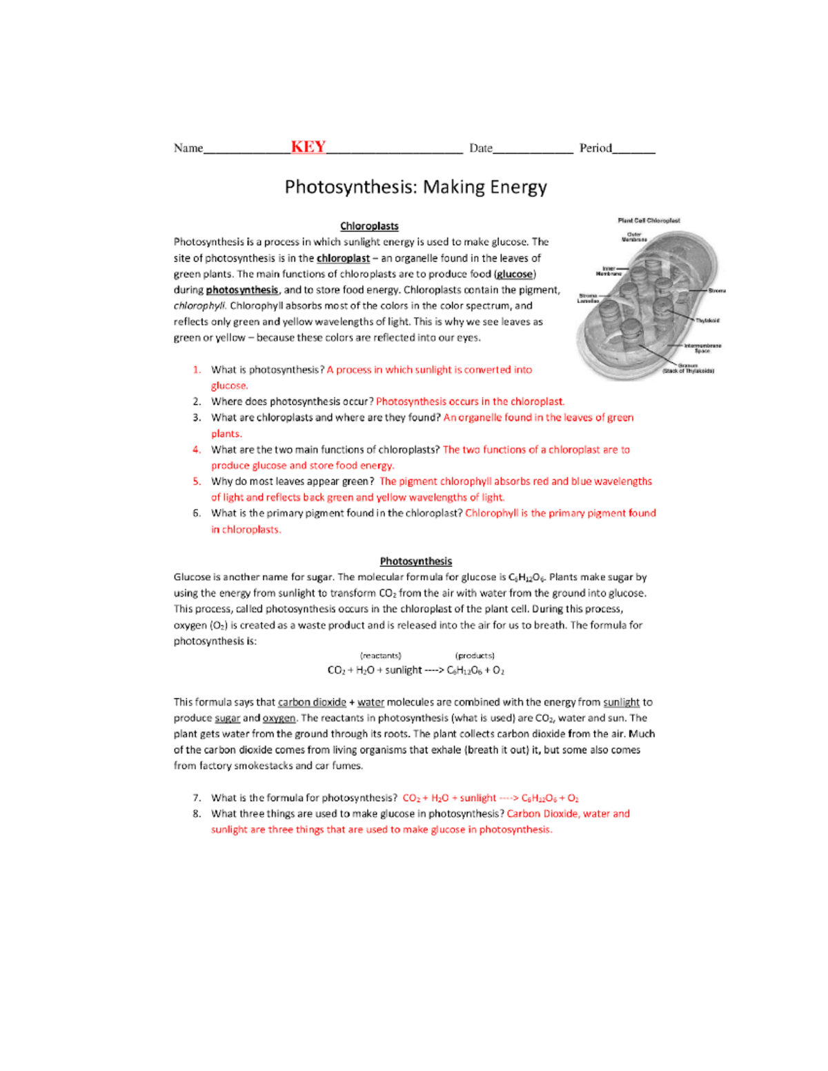 Photosynthesis: Making Energy Review and Worksheet with Key - Name KEY ...