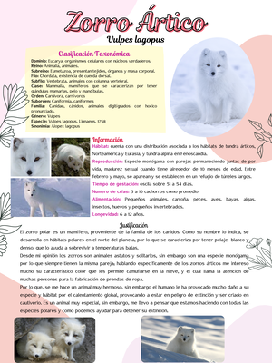 Características del tejido epitelial - ¿Características del tejido ...