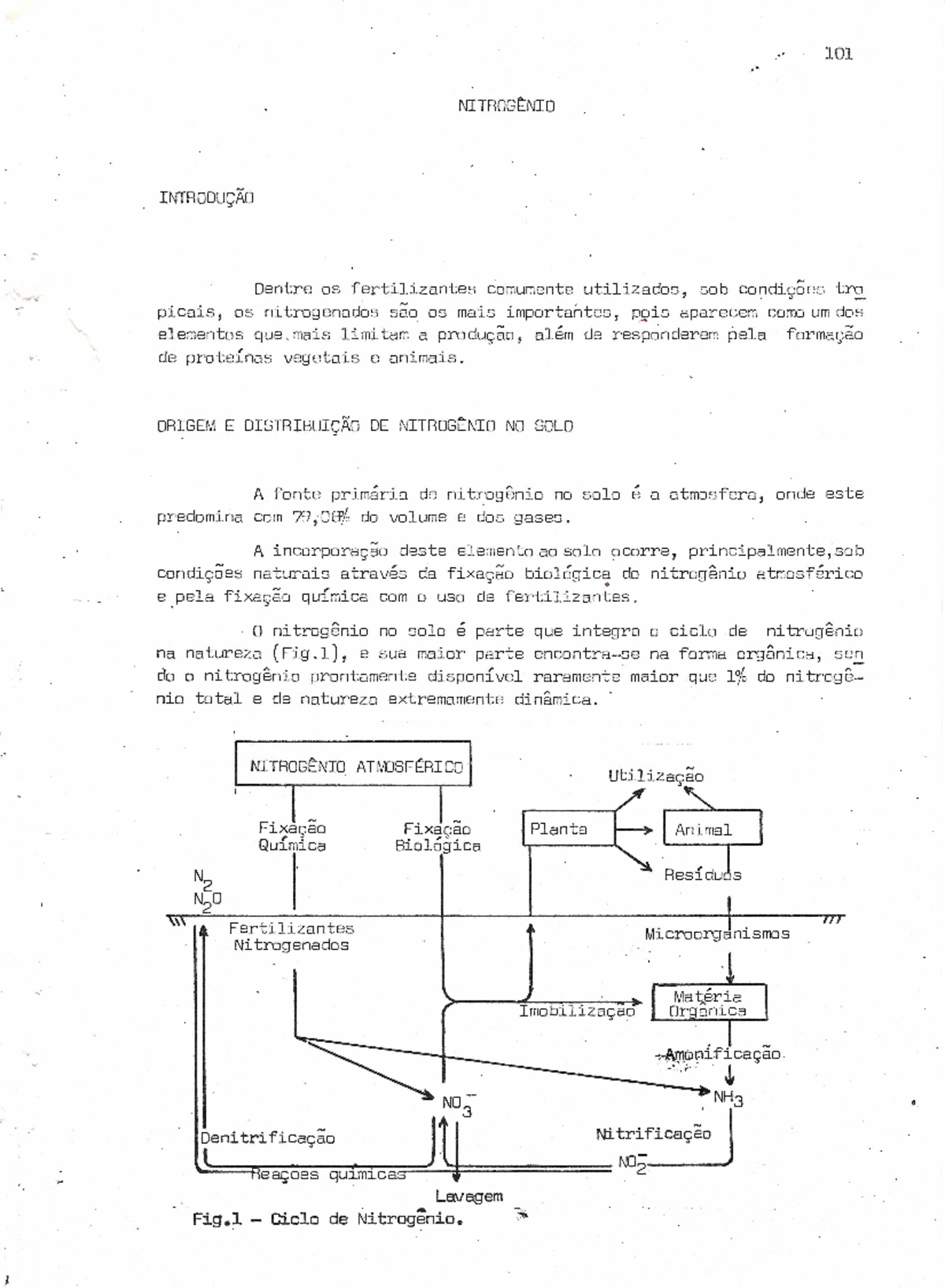 Nitrogenio - Slide - ,.' 1 0 1 EDCBA i " zyxwvutsrqponmlkjihgfe NITROGt ...