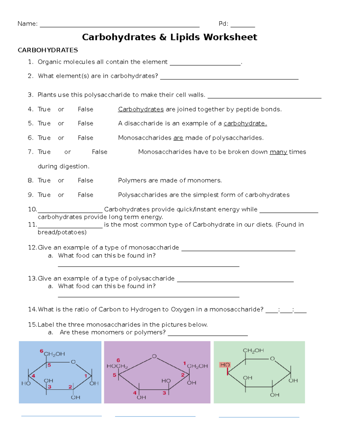 Carbohydrate and Lipids WS - Name ...
