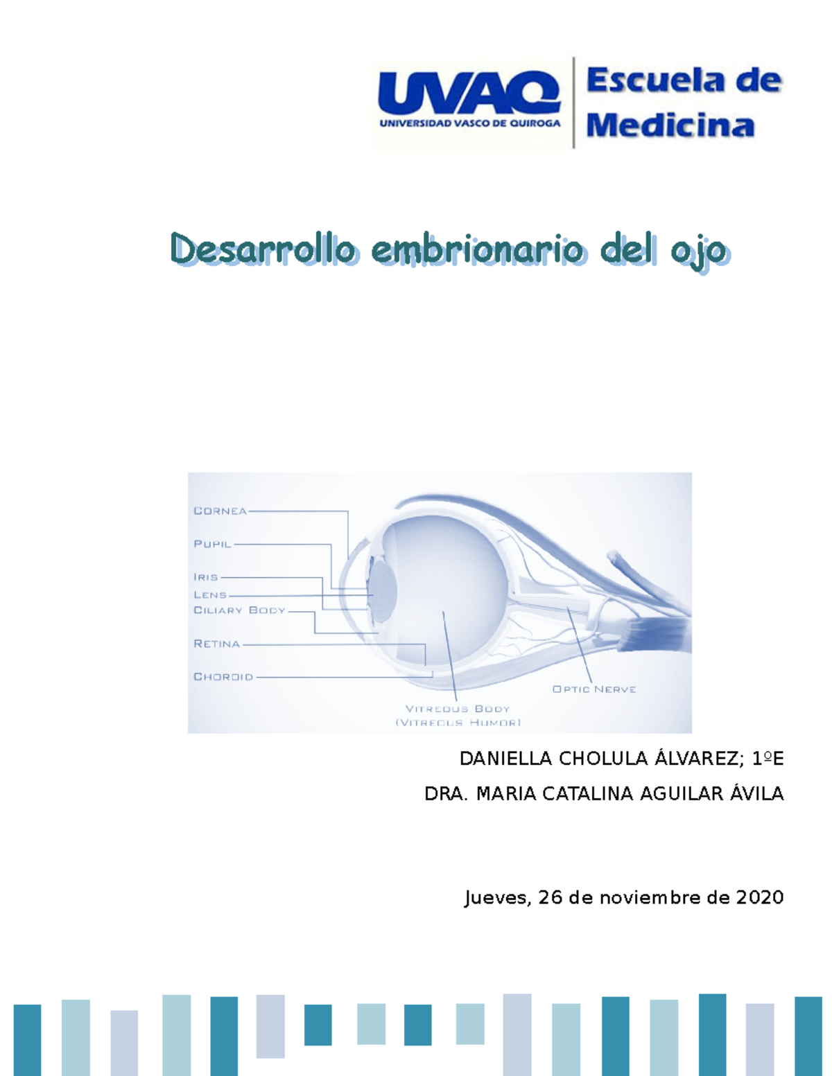 Desarrollo del ojo embrionario - Desarrollo embrionario del ...