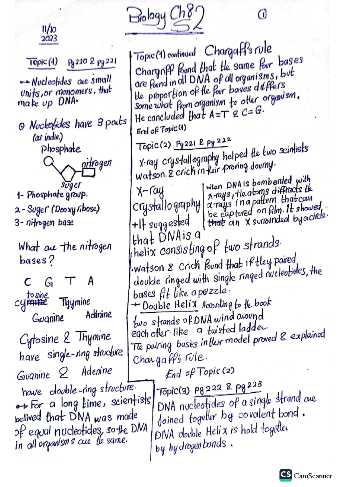 Nuclieotides Chapter 8 Section 2 Contains 2 Topics - Biology Ch8 1 2023 ...