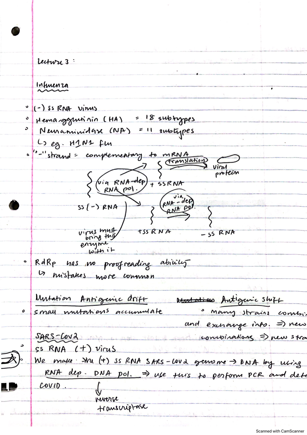 Lecture 3 Notes - BIOL 264 - Studocu