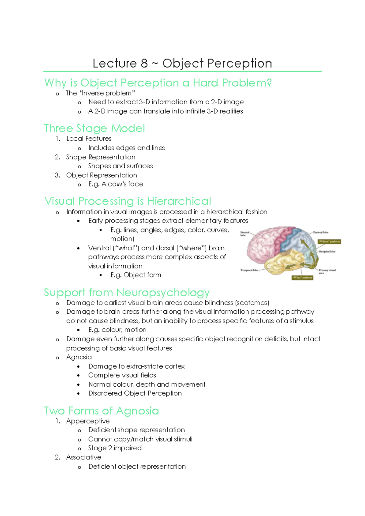 Lecture 8 ~ Object Perception - Lecture 8 ~ Object Perception Why is Object Perception a Hard ...