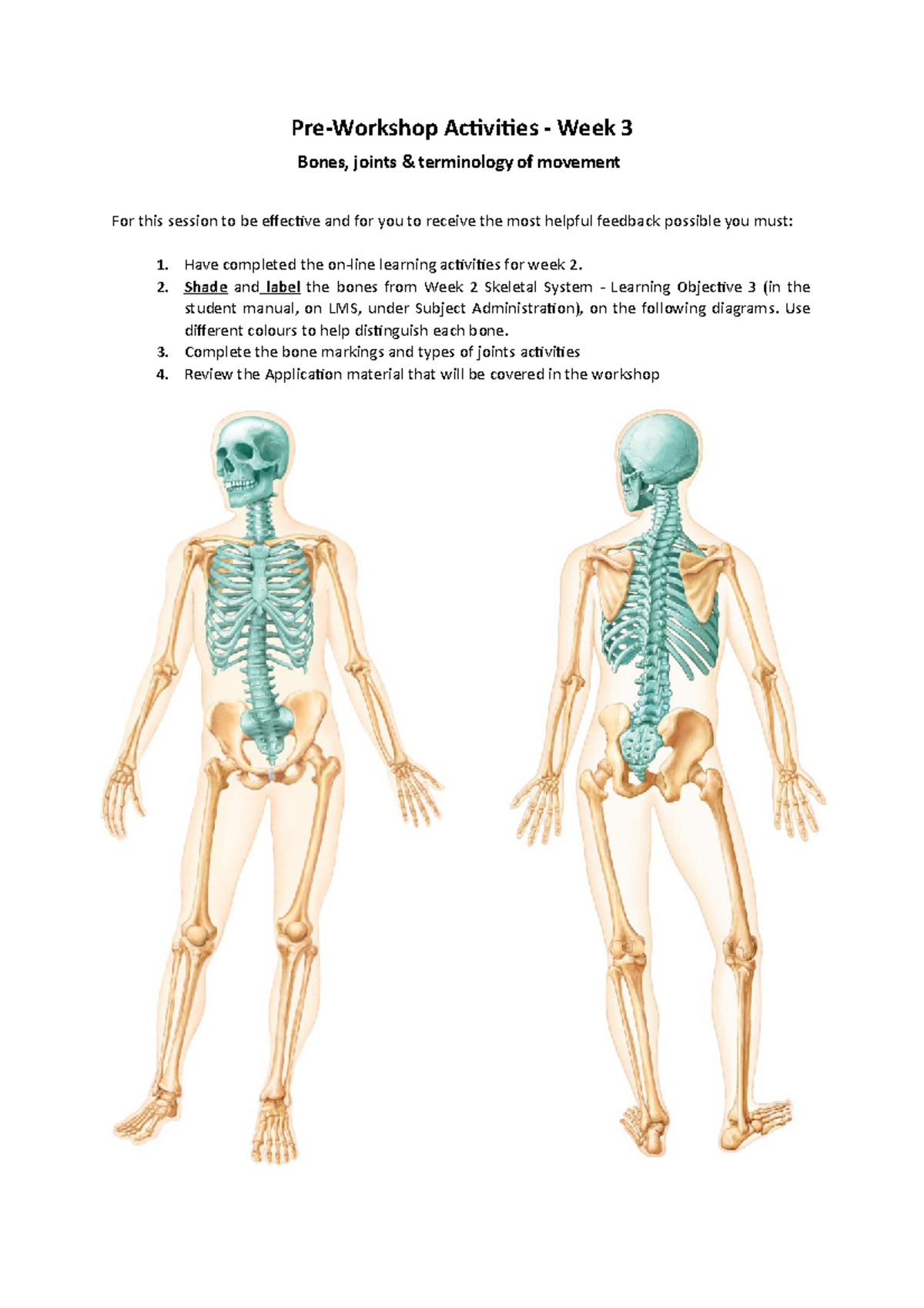 Pre-Workshop 3 - Completed pre-workshop activity answers for HBB - Pre ...