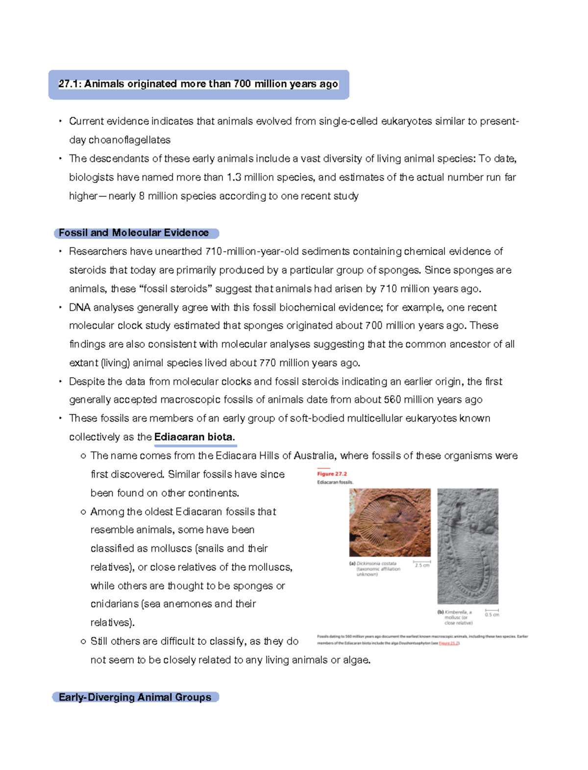 Animal Diversity Ch. 27 - 27: Animals originated more than 700 million ...