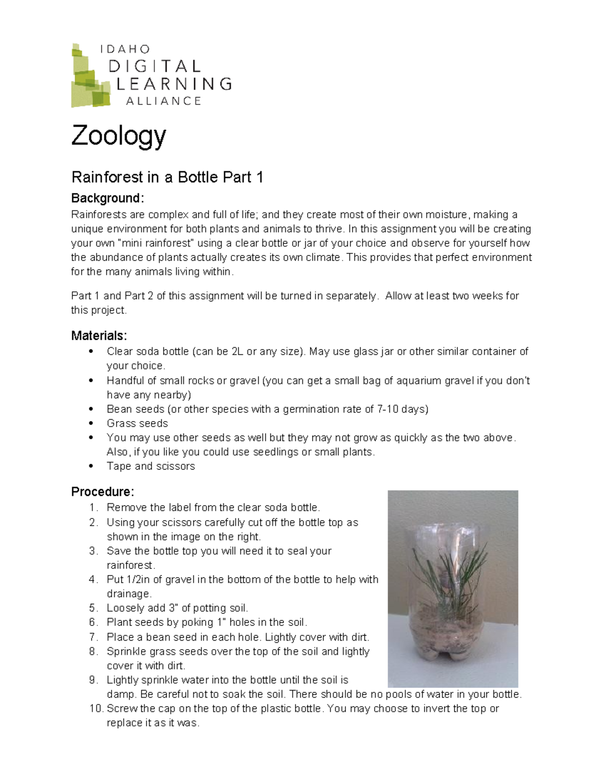 Rainforest In ABottle Part 1 - Zoology Rainforest in a Bottle Part 1 ...