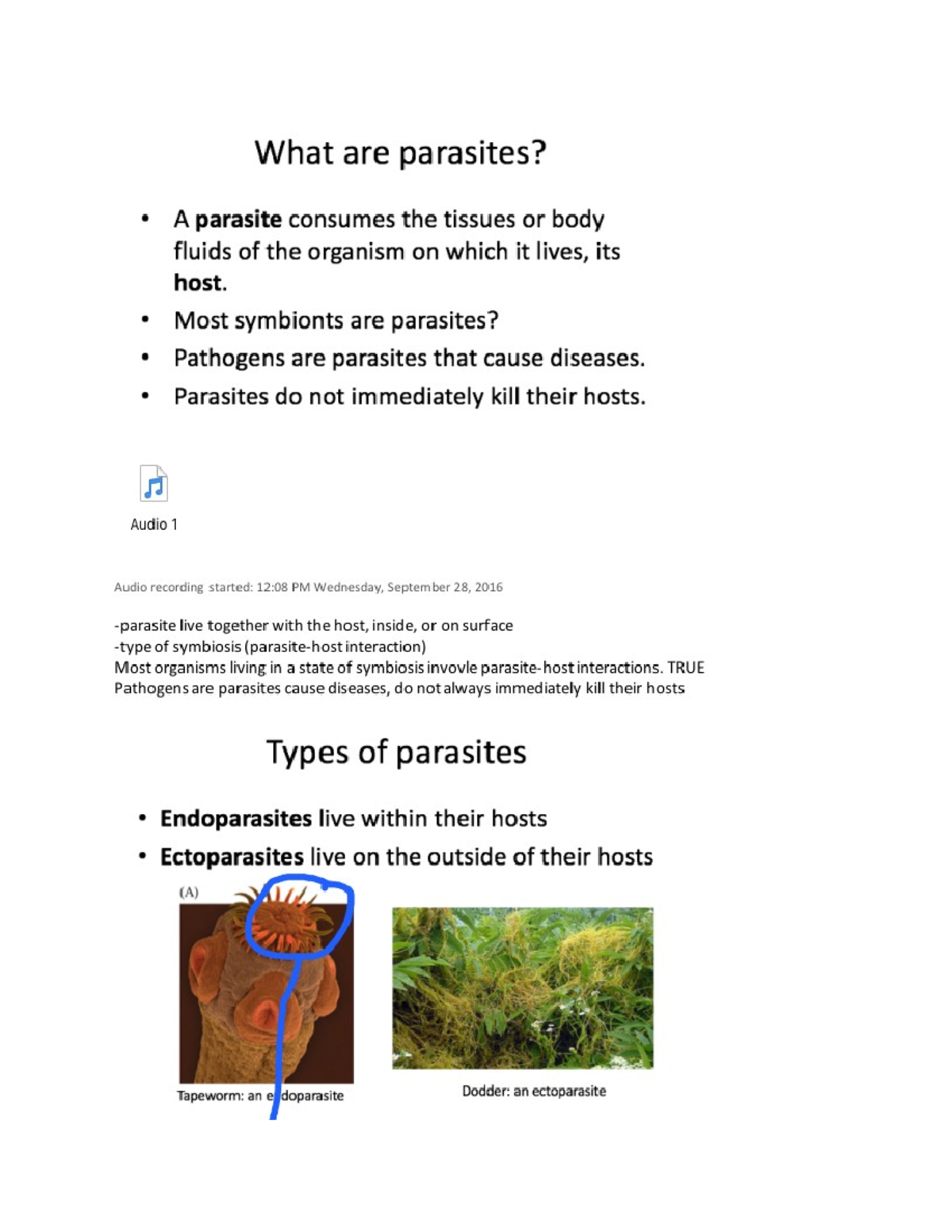 BIOL 2335 Fall 2016 - Parasites Notes - Dodder: plant parasite. Is the ...