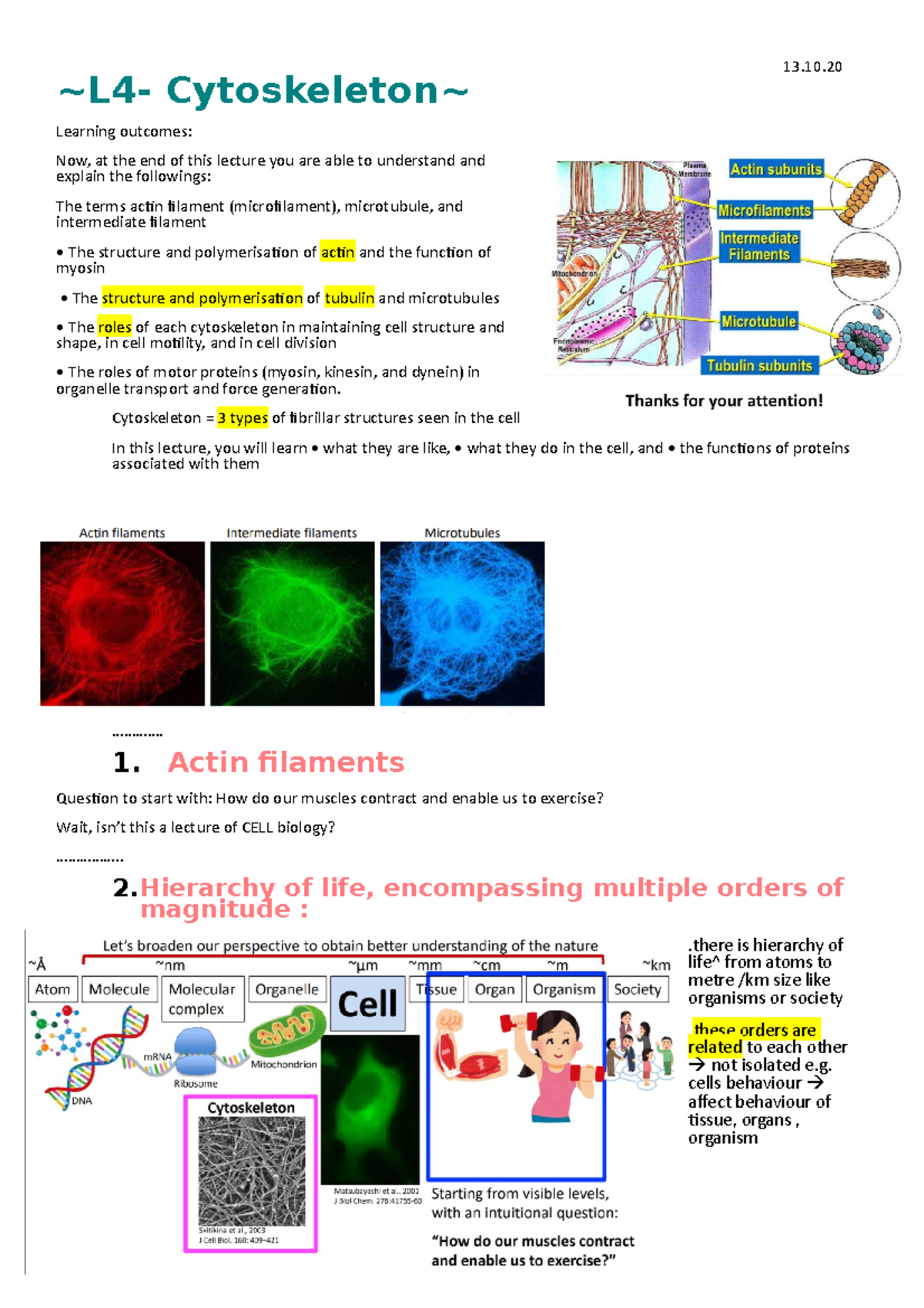 L4- cytoskeleton - Lecture notes 1 - L4- Cytoskeleton Learning outcomes ...