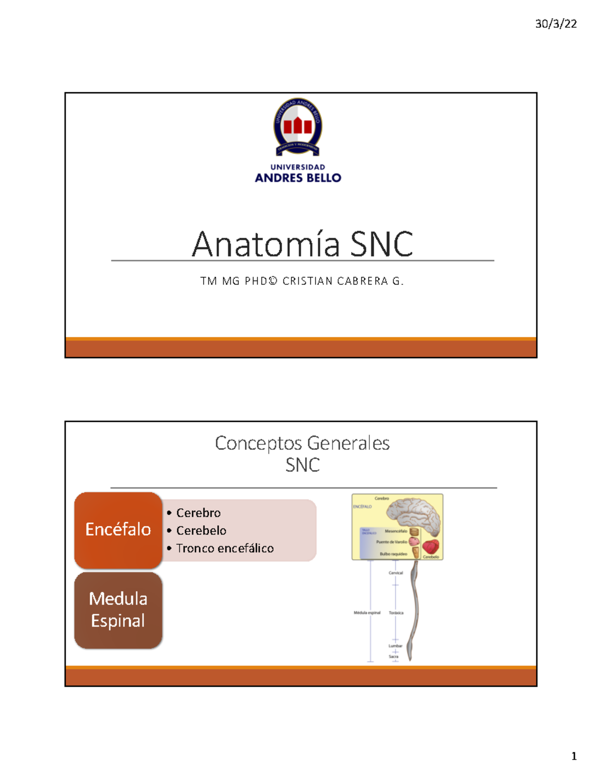 Clase snc 2022 - Anatomía sistema nervioso central - Anatomía SNC TM MG PHD © CRISTIAN CABRERA ...