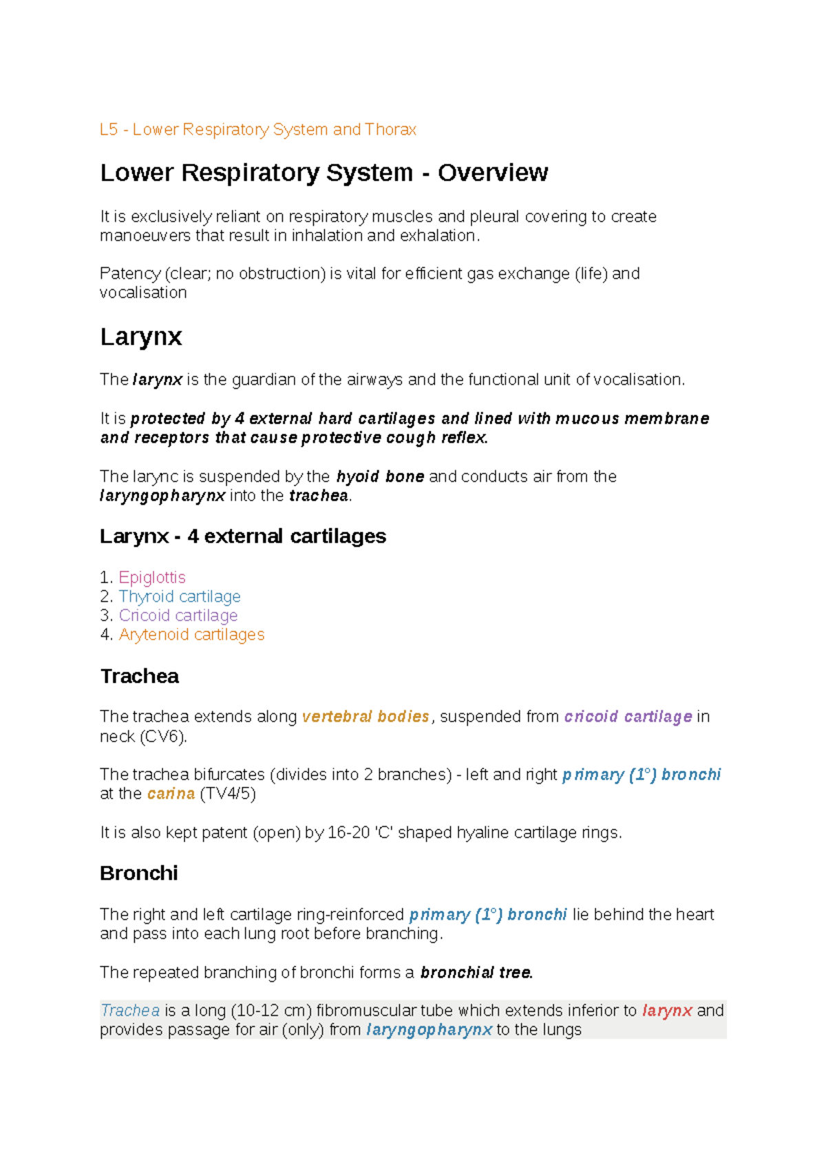 L5 - Lower Respiratory System and Thorax Lecture Notes - L5 - Lower ...