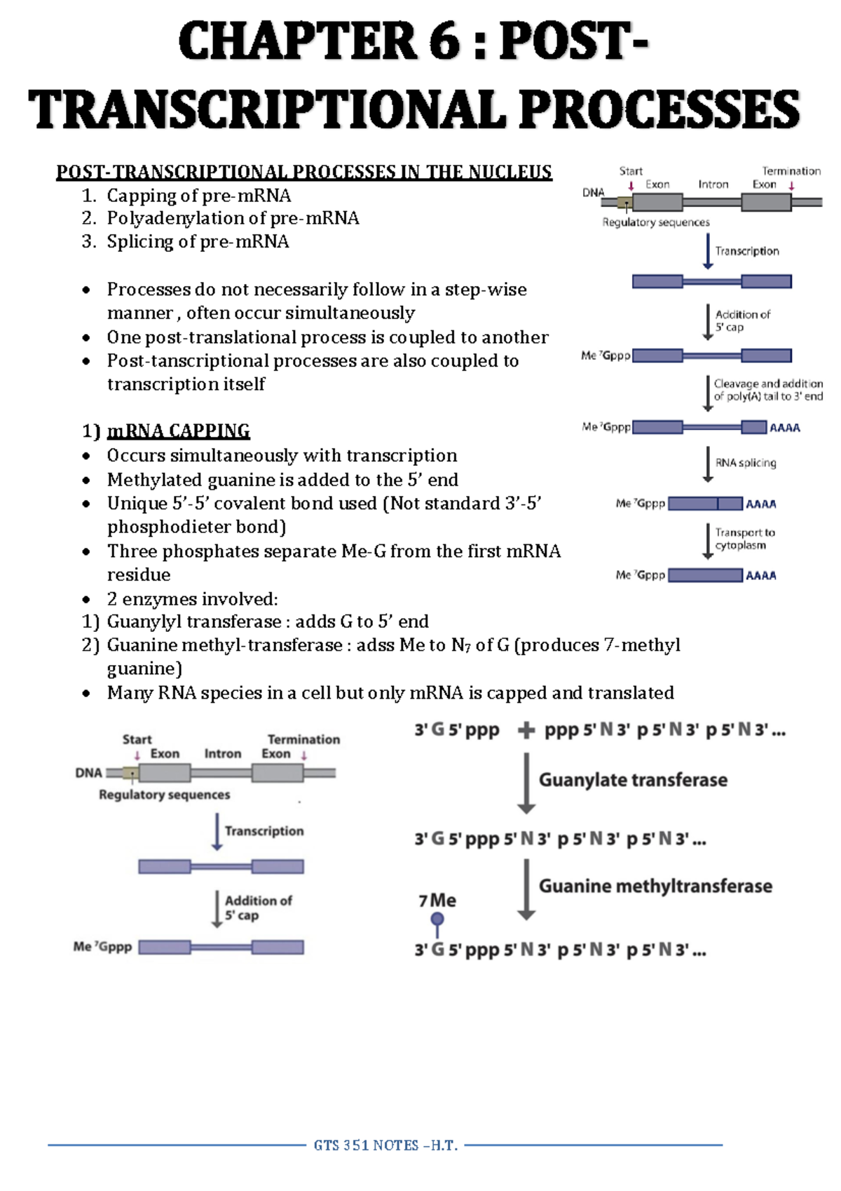 chapter 6 post transcriptional processes - POST-TRANSCRIPTIONAL ...