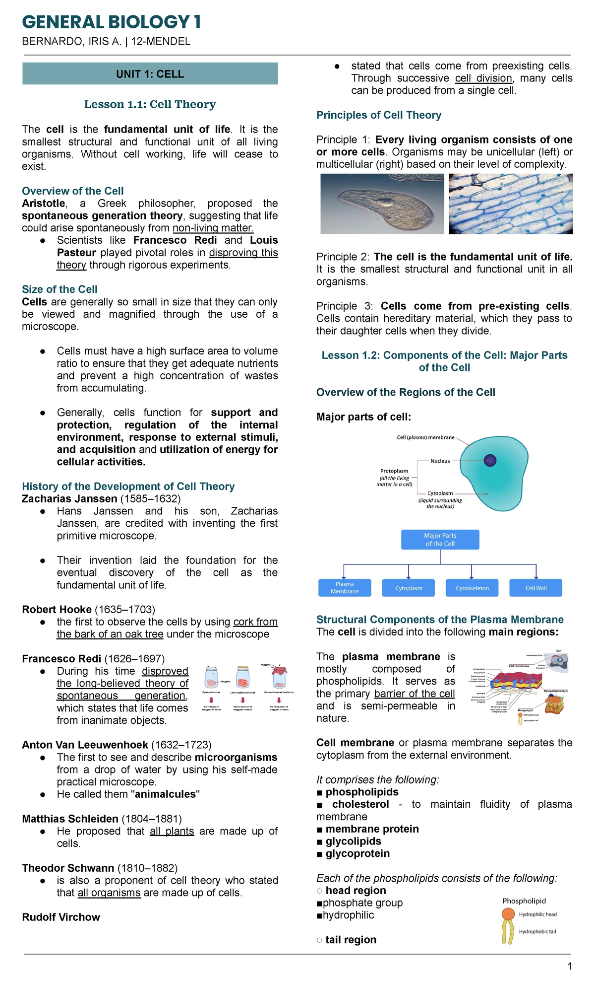 General Biology 1 - BERNARDO, IRIS A. | 12-MENDEL UNIT 1: CELL Lesson 1 ...