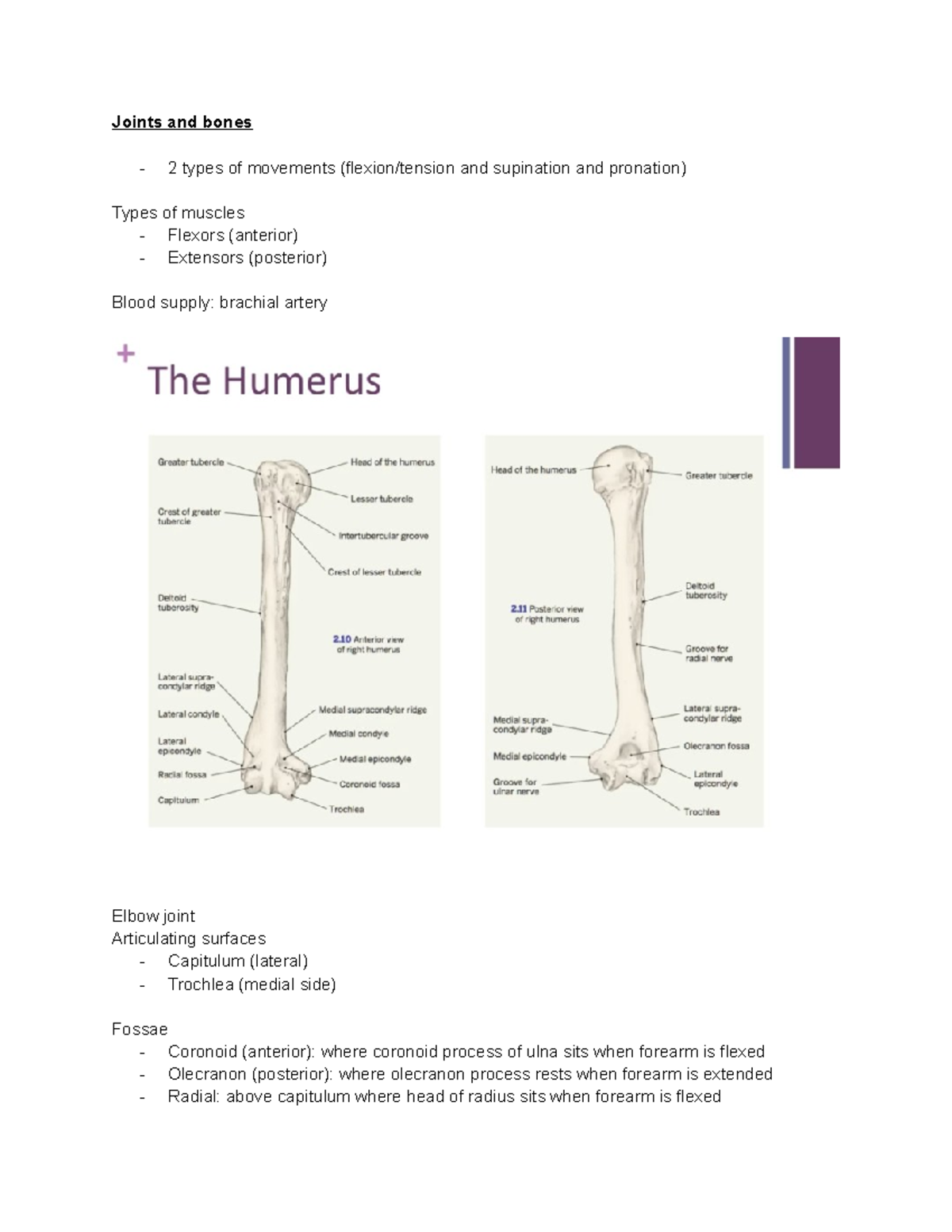 Arm Notes - arm - HN210 / KP221 - WLU - Studocu