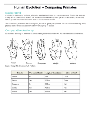 Anshu Verma word - Executive summary One of the key mainstays of ...
