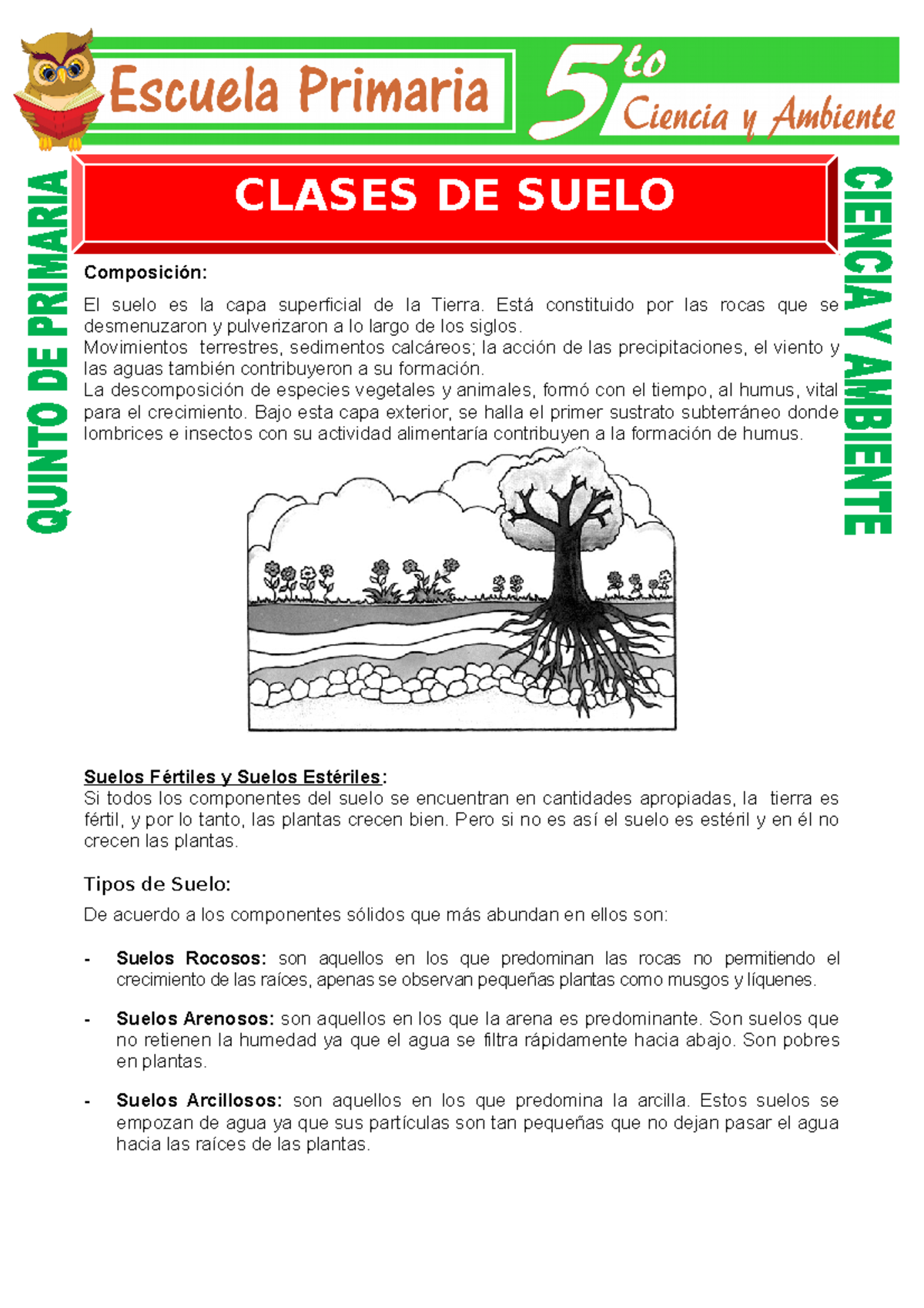 Clases de Suelo para Quinto de Primaria - Composición: El suelo es la ...