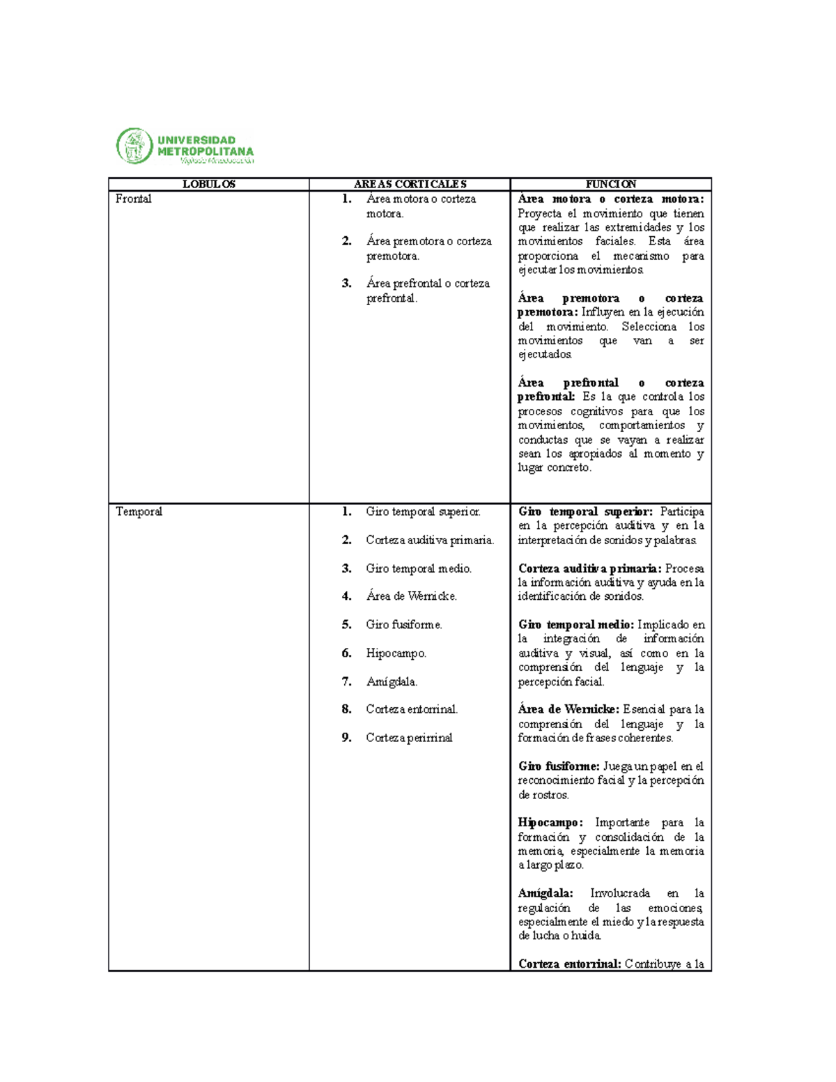 Cuadro Anato - LOBULOS AREAS CORTICALES FUNCION Frontal 1. Área motora ...