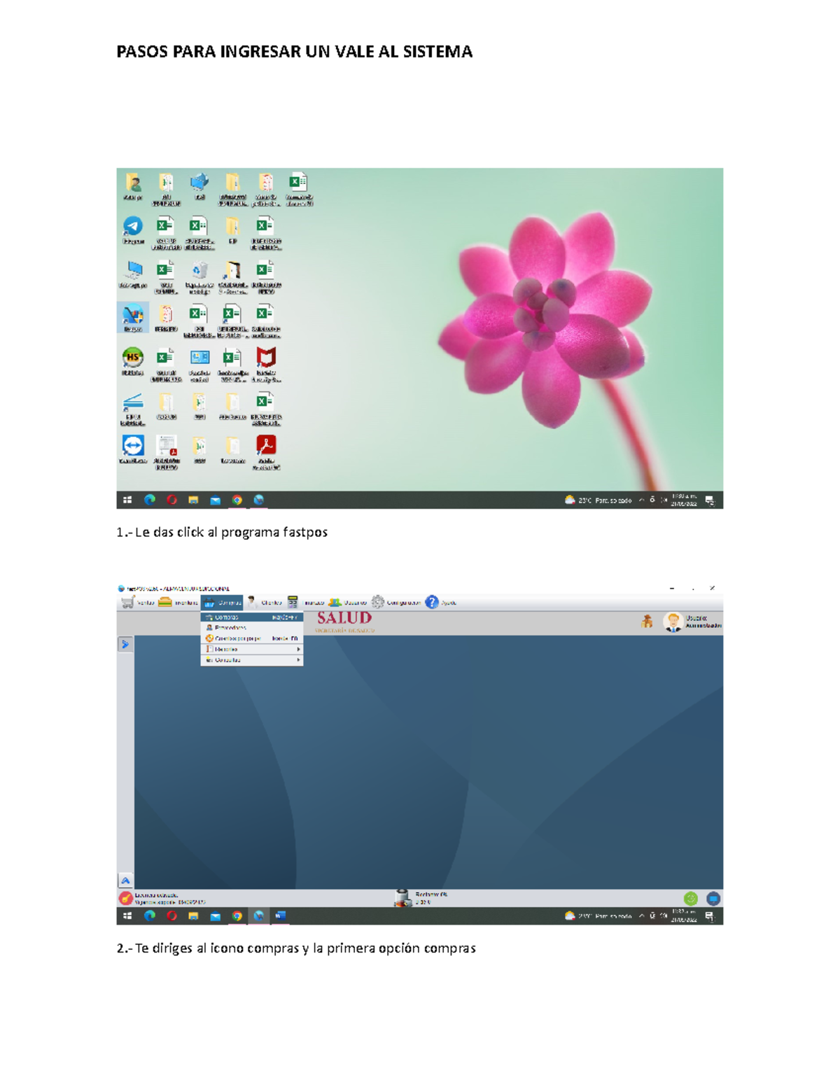 Como ingresar un vale al sistema - PASOS PARA INGRESAR UN VALE AL ...