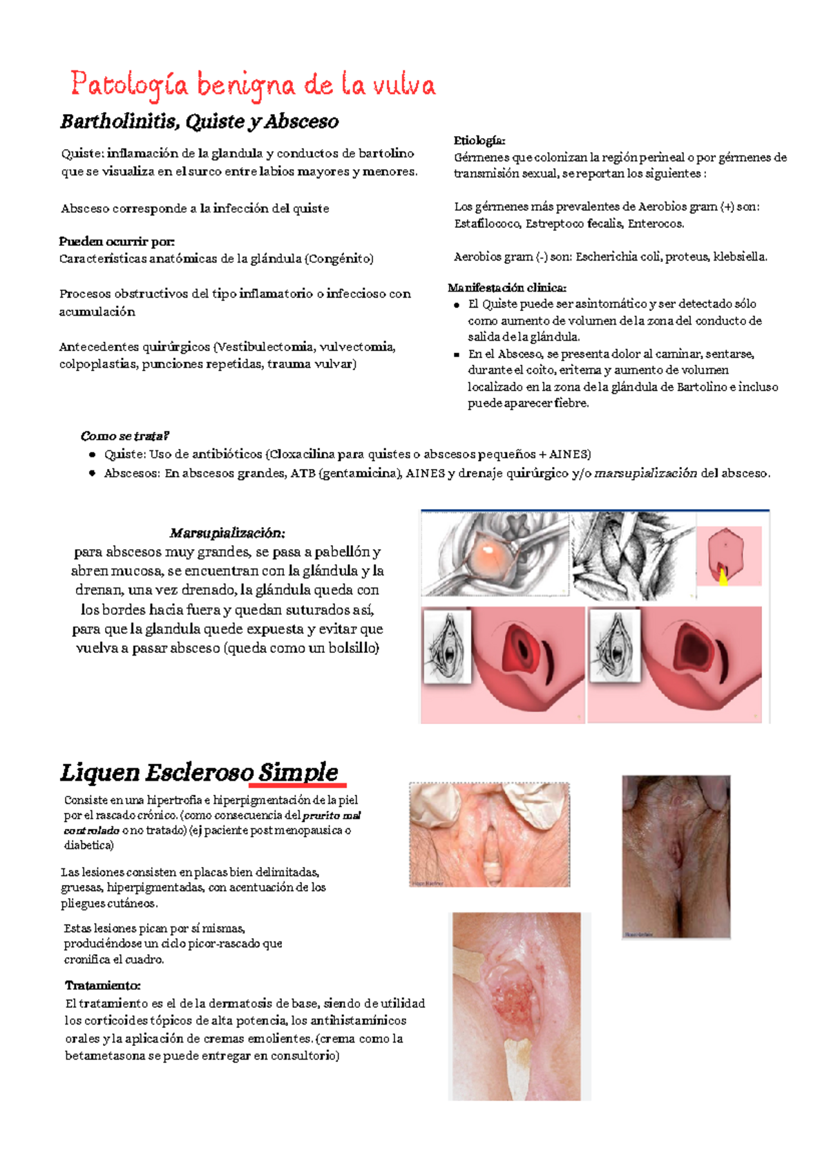 Patologias benignas de la vulva - Patología benigna de la vulva ...