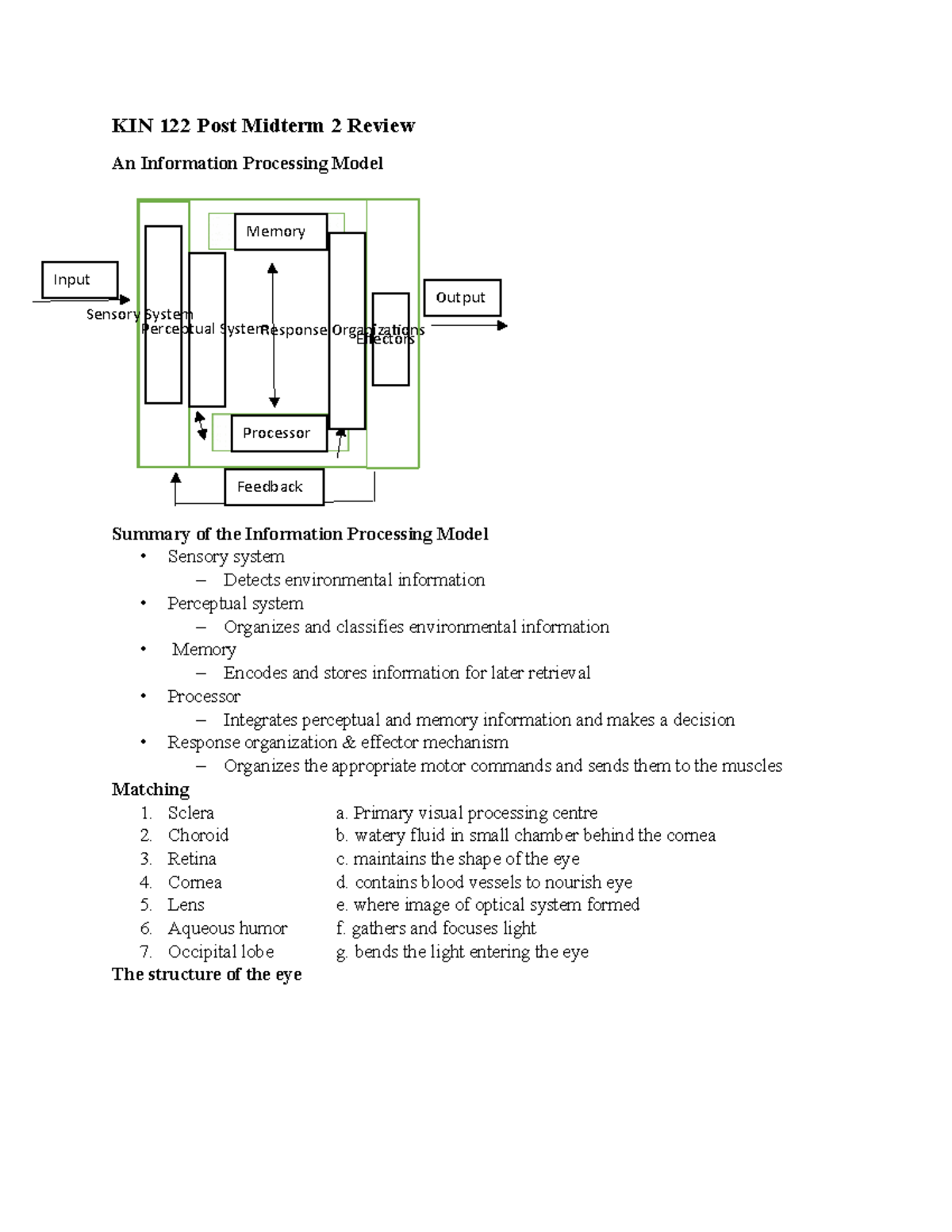 KIN 122 Final Review - KIN 122 Post Midterm 2 Review An Information Processing Model Summary of ...