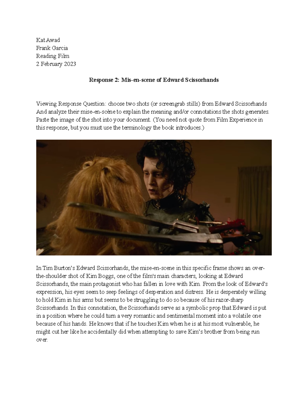Mis-En-Scene of Edward Scissorhands -Viewing Response - Paste the image ...