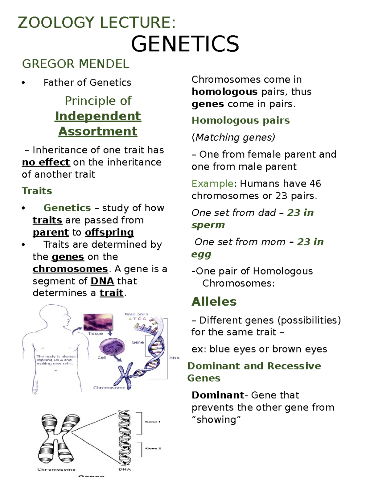 Zoology Lecture- Genetics - GENETICS GREGOR MENDEL Father of Genetics ...