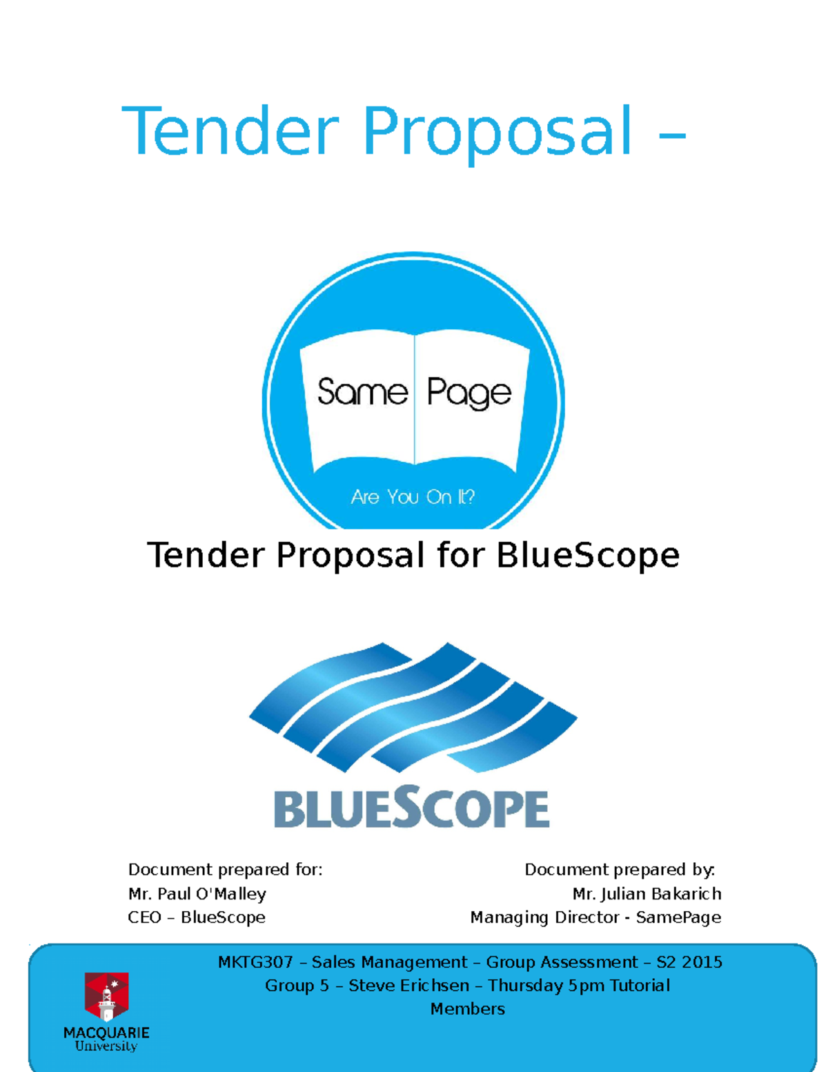 Group Assignment Example 3 - Tender Proposal Private and Tender ...