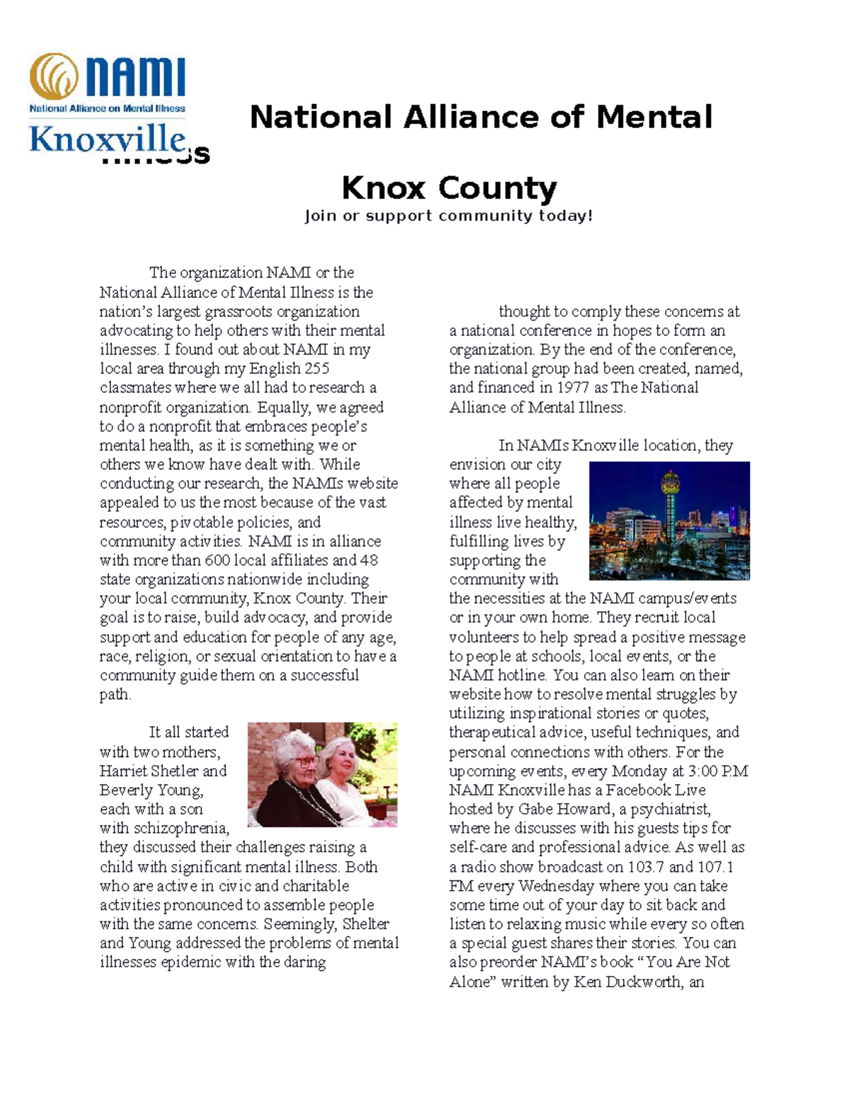 Advocacy Essay for NAMA-Final Paper Brooke Hein English 255 - National ...