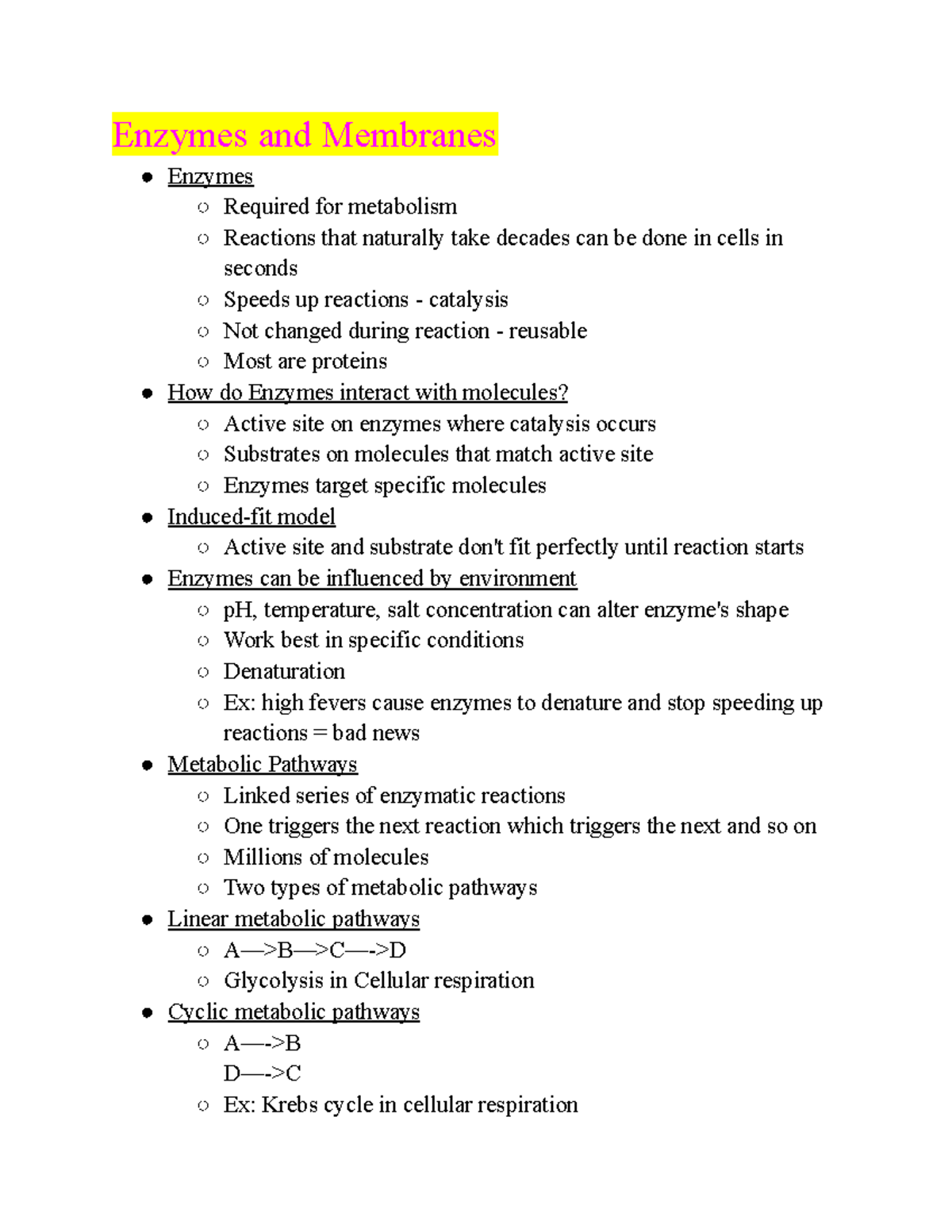 Intro to Biology Enzymes and membranes - Enzymes and Membranes Enzymes ...