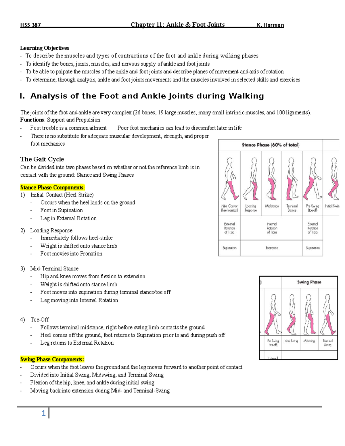 Chapter 11 Lecture Notes (Ankle Foot) - Learning Objectives To describe ...