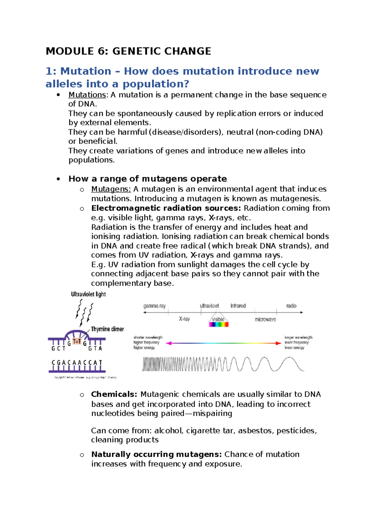 2019 BIO Module 6 Genetic Change Notes Chloe Mc Millan Notes - MODULE 6 ...
