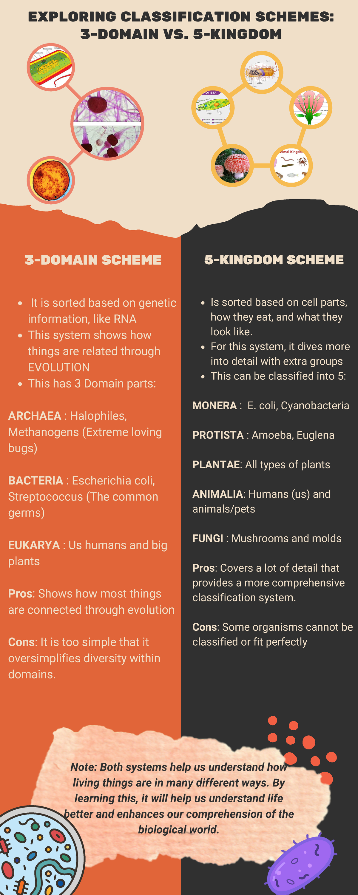 Biology infographic - EXPLORING CLASSIFICATION SCHEMES: 3-DOMAIN VS. 5 ...