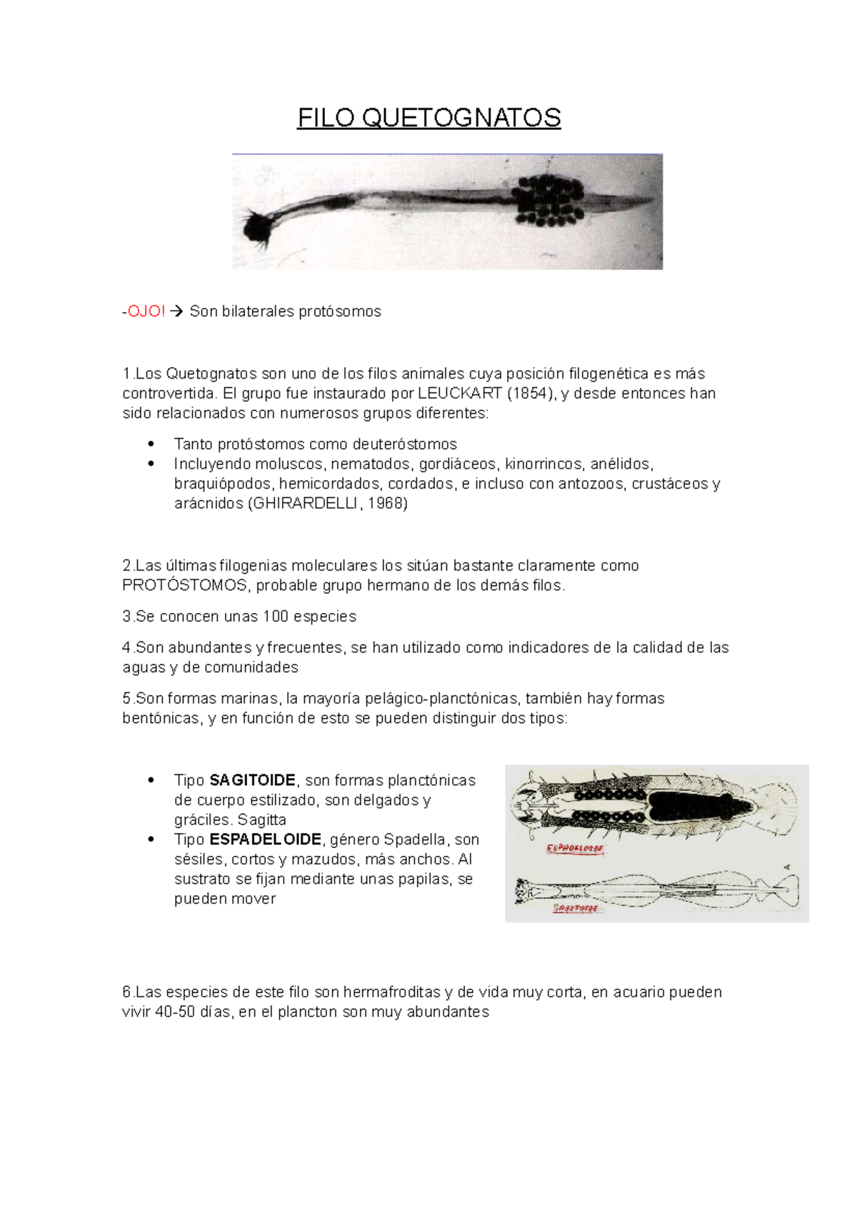 Tema-4c - Parte de apuntes tema 4. Profesor: Andrés Baselga Fraga ...