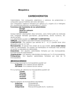 Ventilación y perfusión pulmonar - Ventilación y perfusión pulmonar La ...