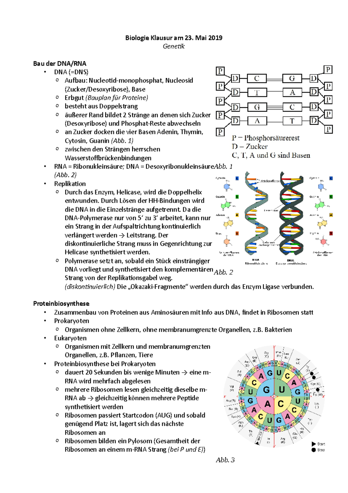 Biologie Klausur Zum Thema Genetik Warning Tt Undefined Function