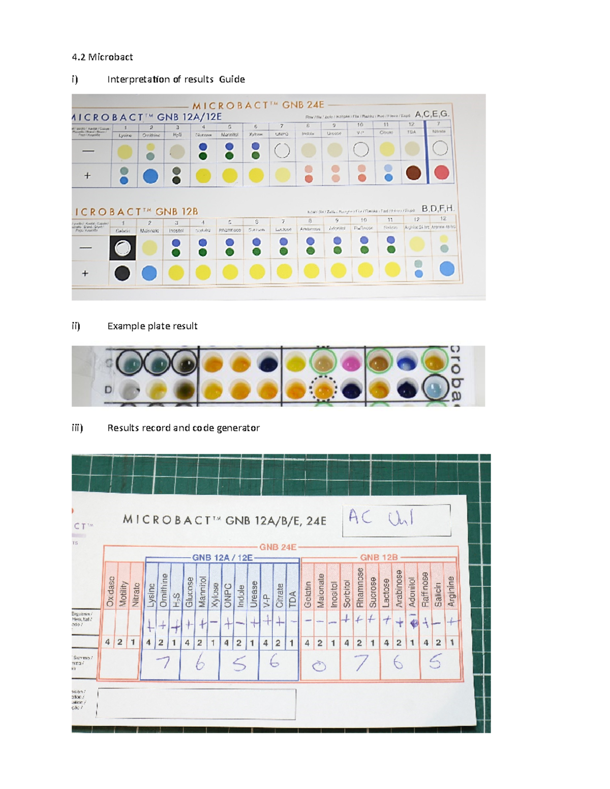 Practical material, Lab 4 grapic Mactobact results - 4 Microbact i ...